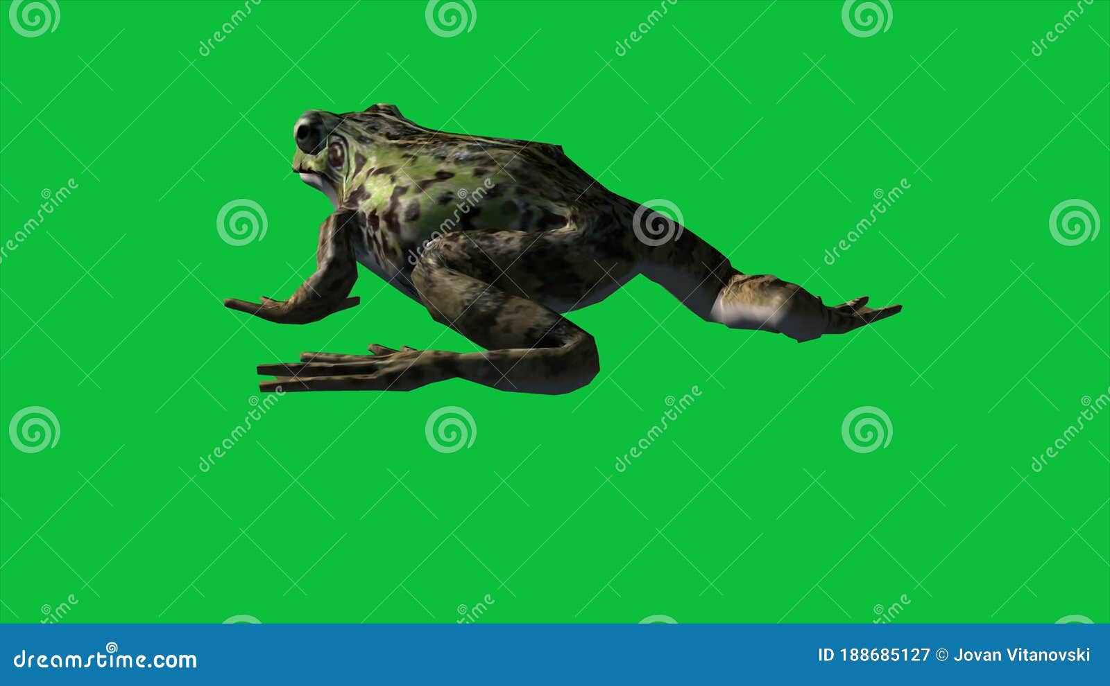 Frog eat ,walk and jump stock video. Video of cheerful - 188685127