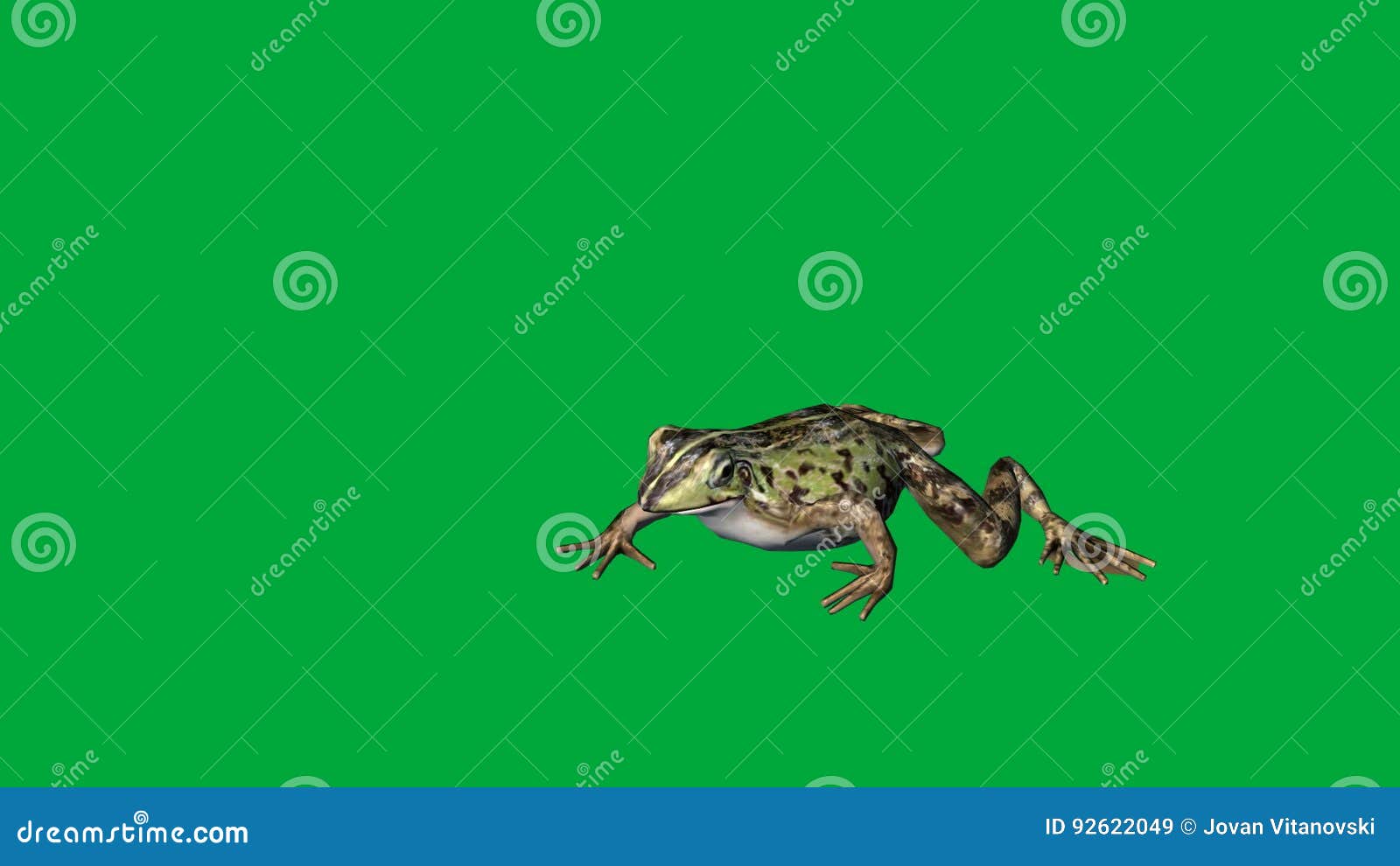 Frog Eat ,walk and Jump - Green Screen Stock Video - Video of amphibian ...