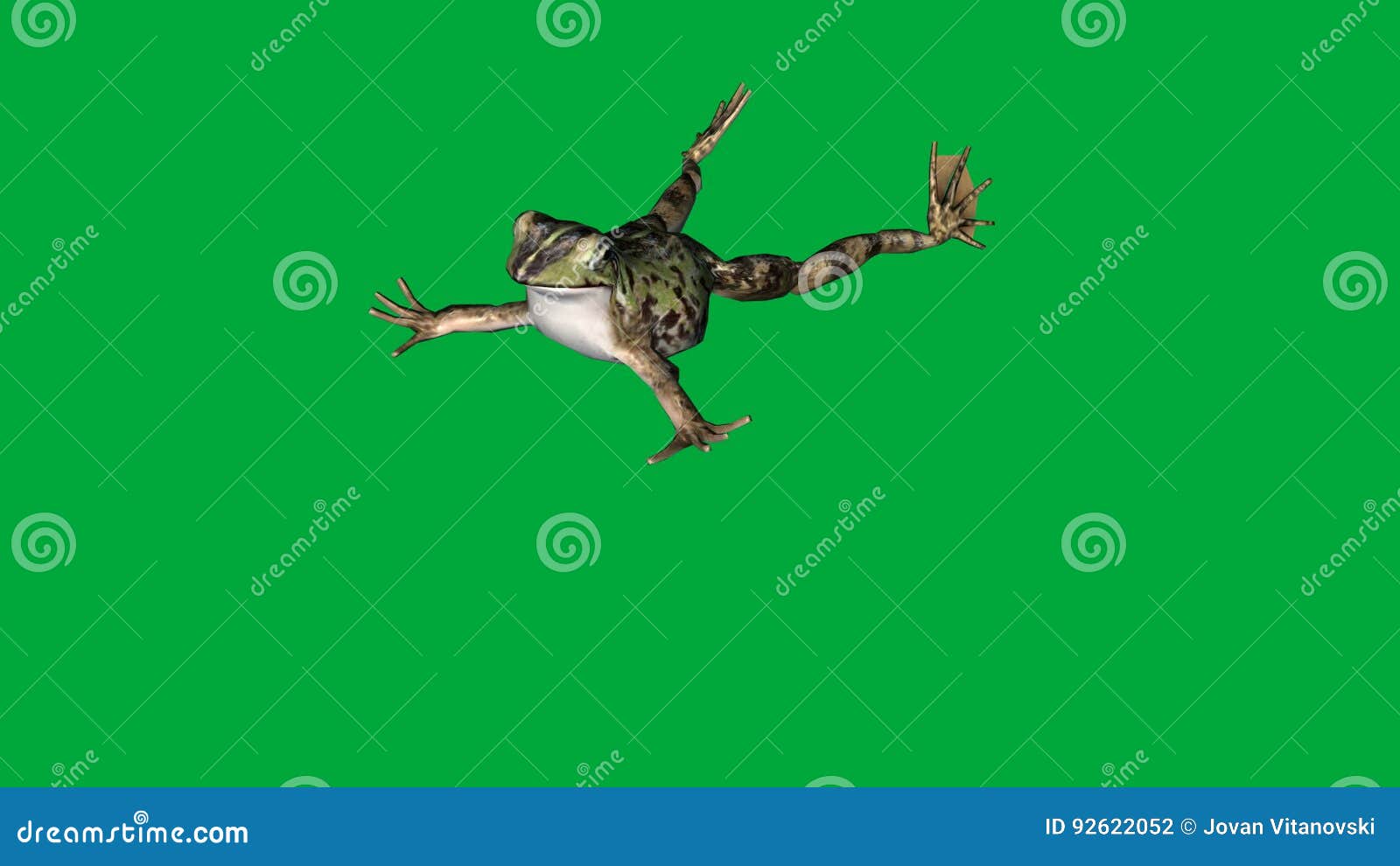 Frog Eat ,walk and Jump - Green Screen Stock Footage - Video of ...