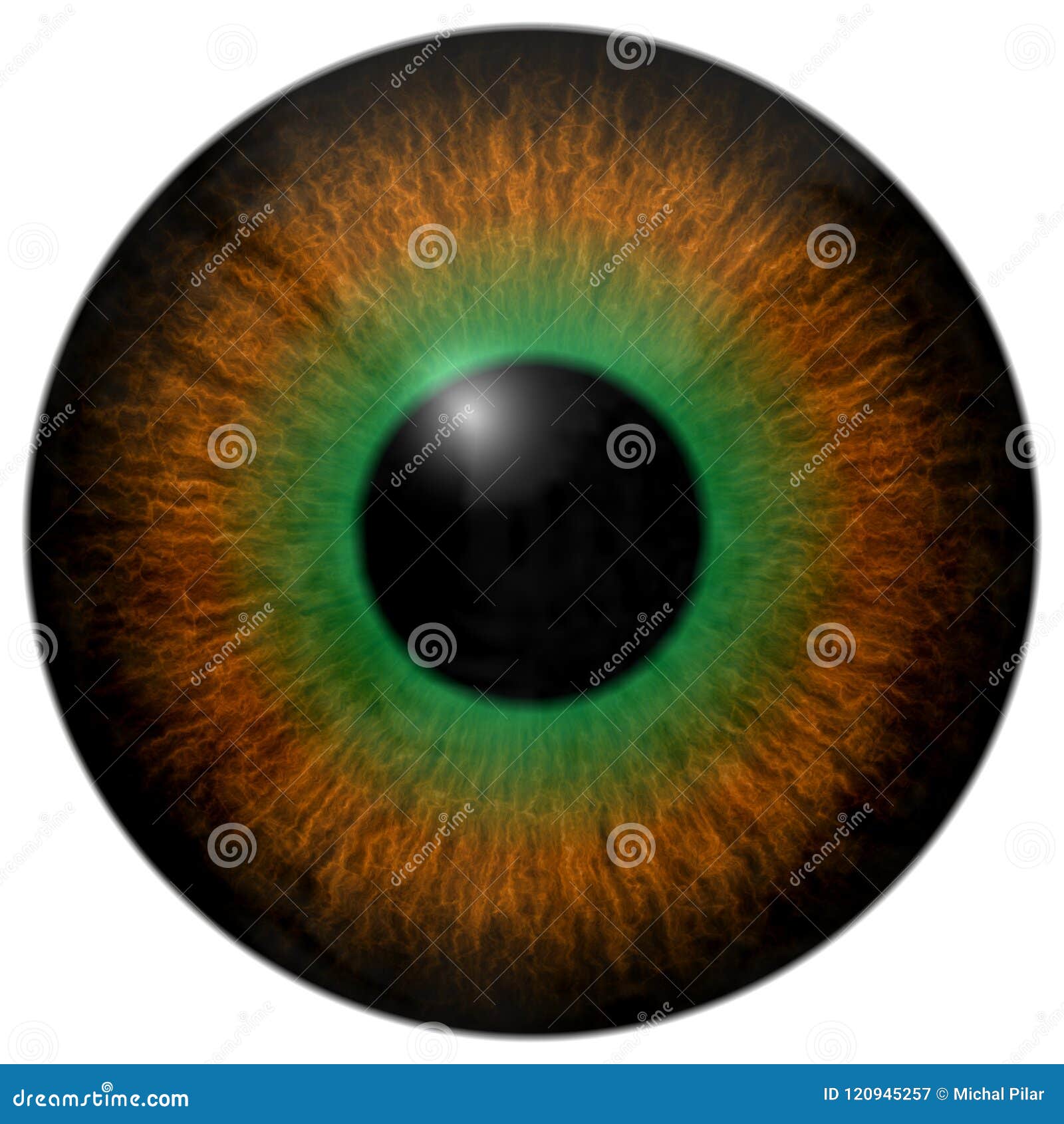Frog Eye 3d Texture, Animal Eye Stock Illustration - Illustration of ...