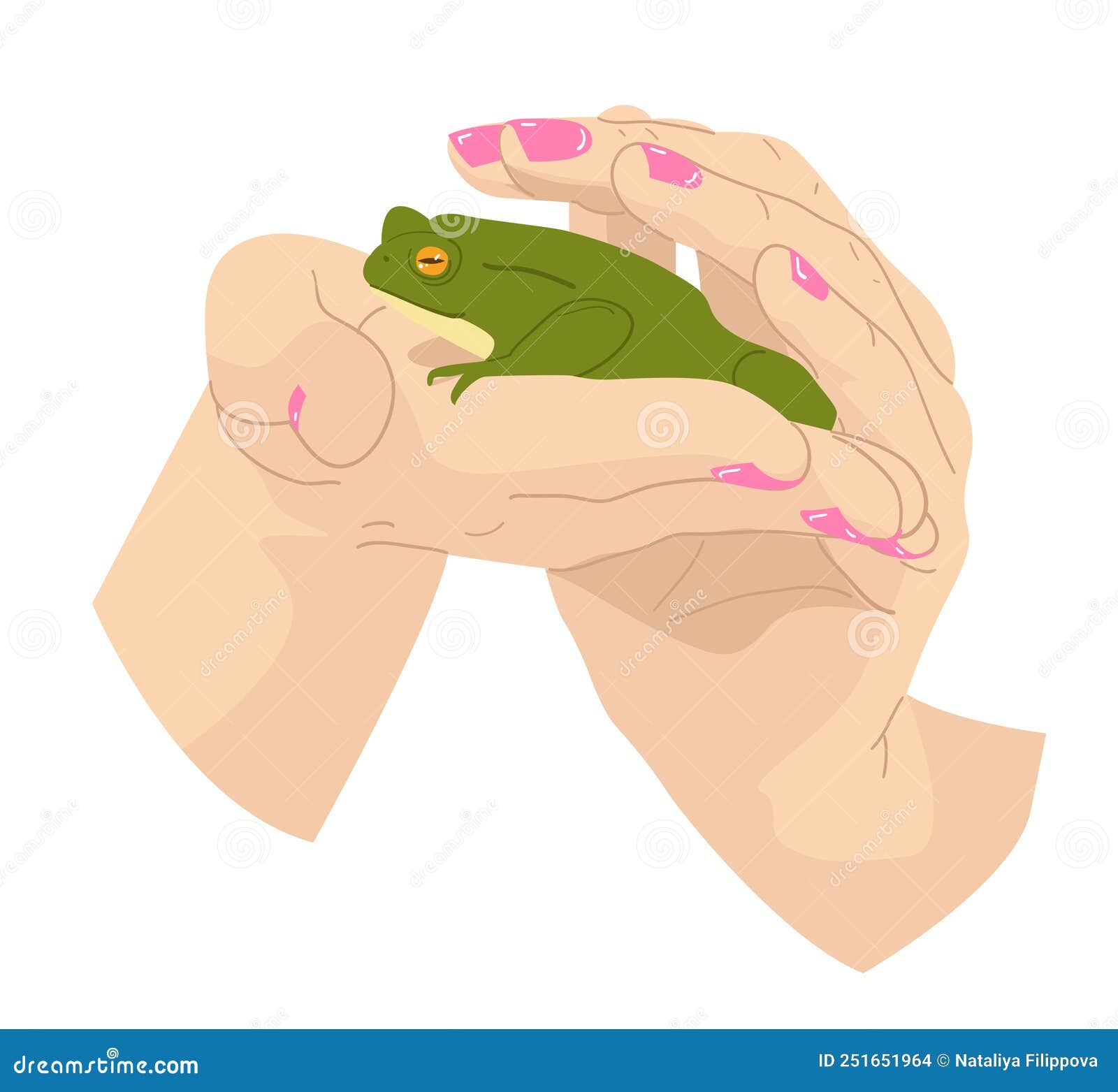 Frog in hand stock vector. Illustration of green, palm - 251651964
