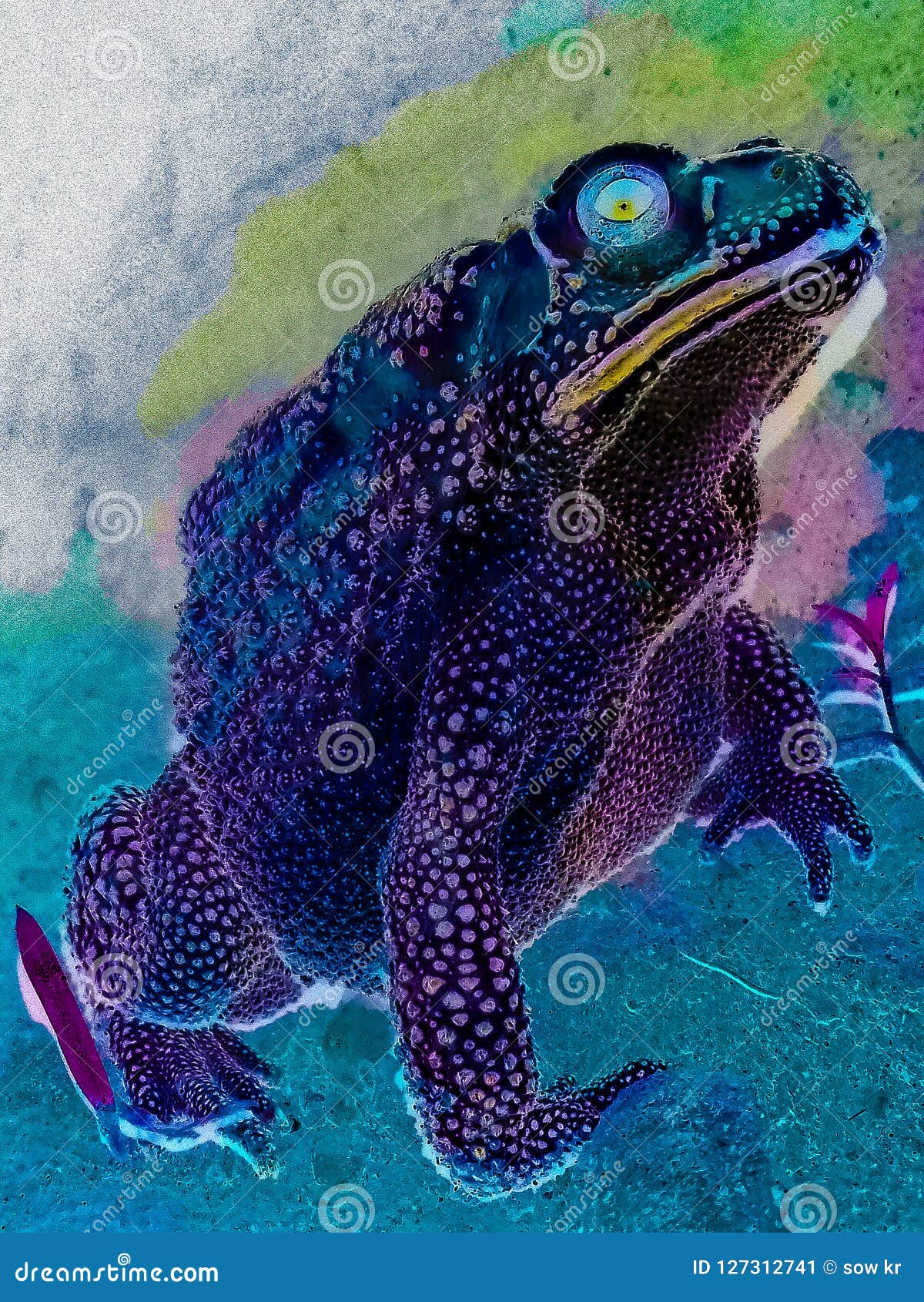 Frog stock image. Image of scary, face, look, giant - 127312741