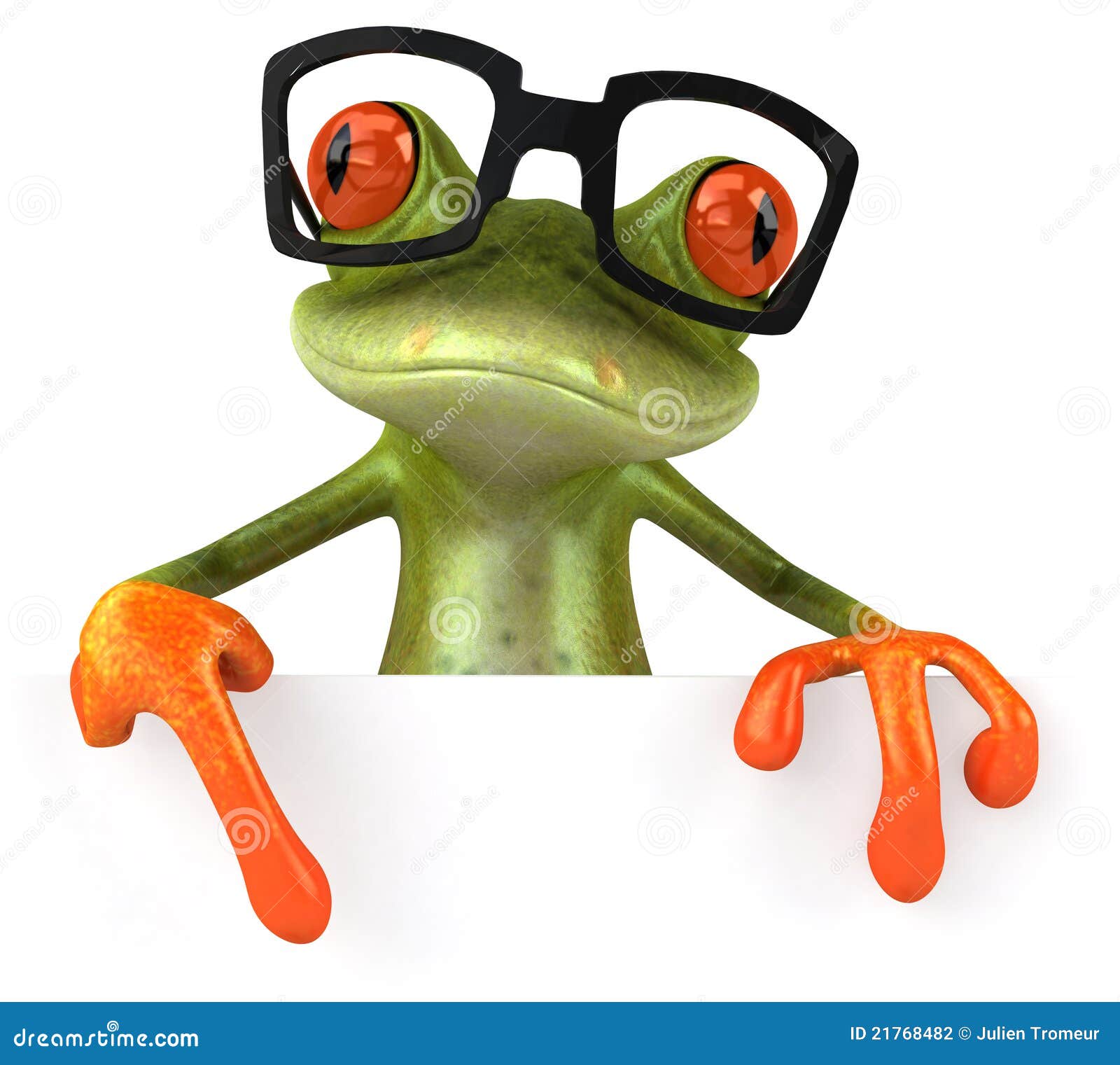 Frog With Glasses Stock Illustration Illustration Of Forest 21768482