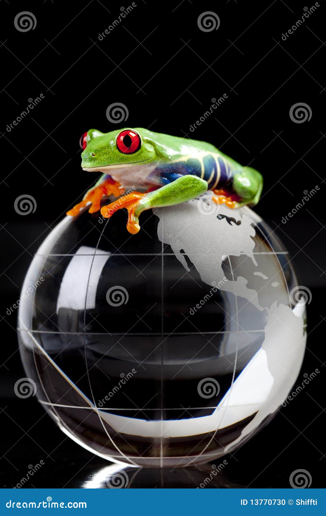 Frog on globe stock photo. Image of frog, animal, amphibian - 13770730