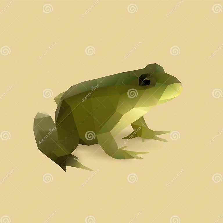 Frog stock vector. Illustration of water, nature, frog - 67983810