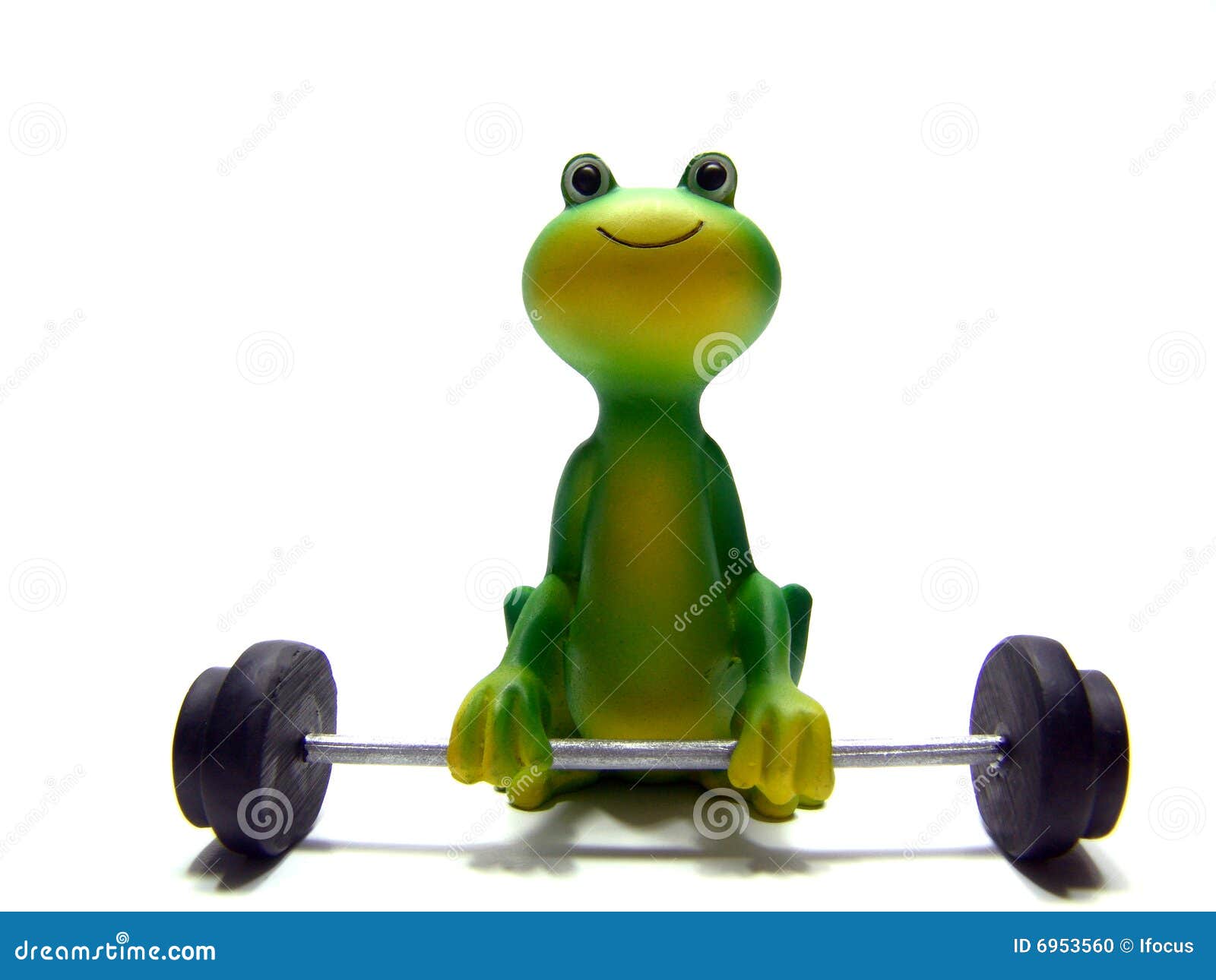 Miniature Frog Lifting Barbell Stock Photo - Image of muscle, strength ...