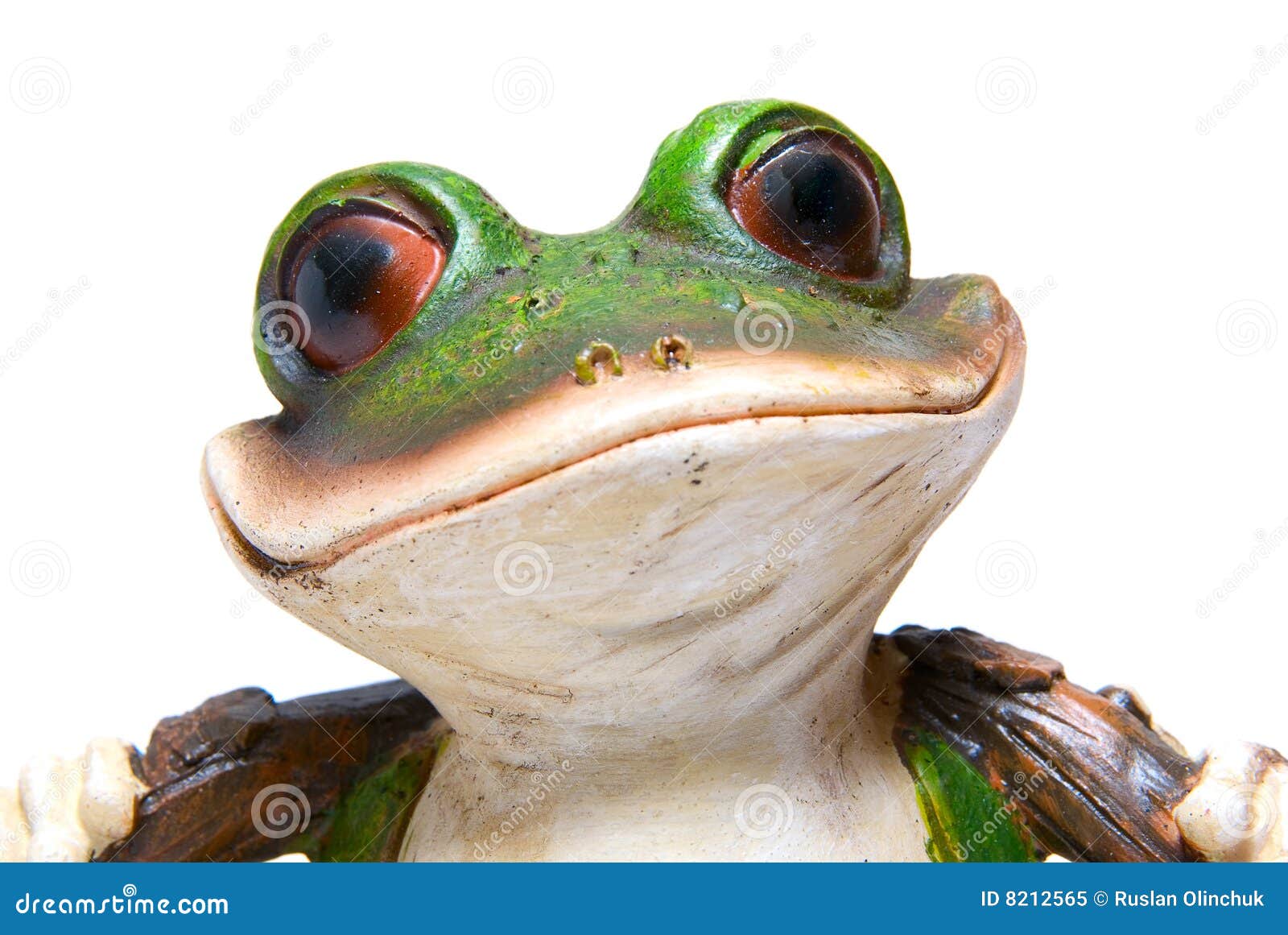 Frog Head with Big Eyes stock image. Image of reptile - 8212565