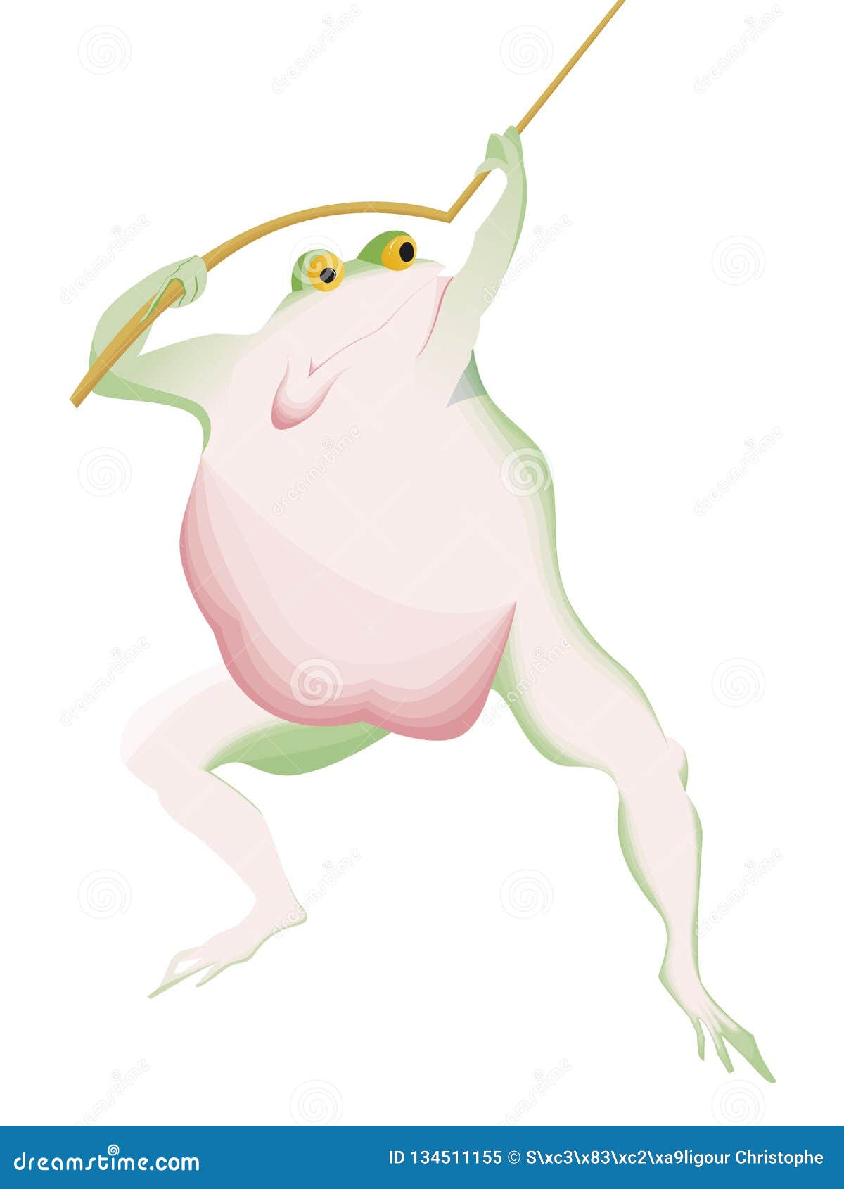 Frog is holding a stick stock vector. Illustration of india - 134511155