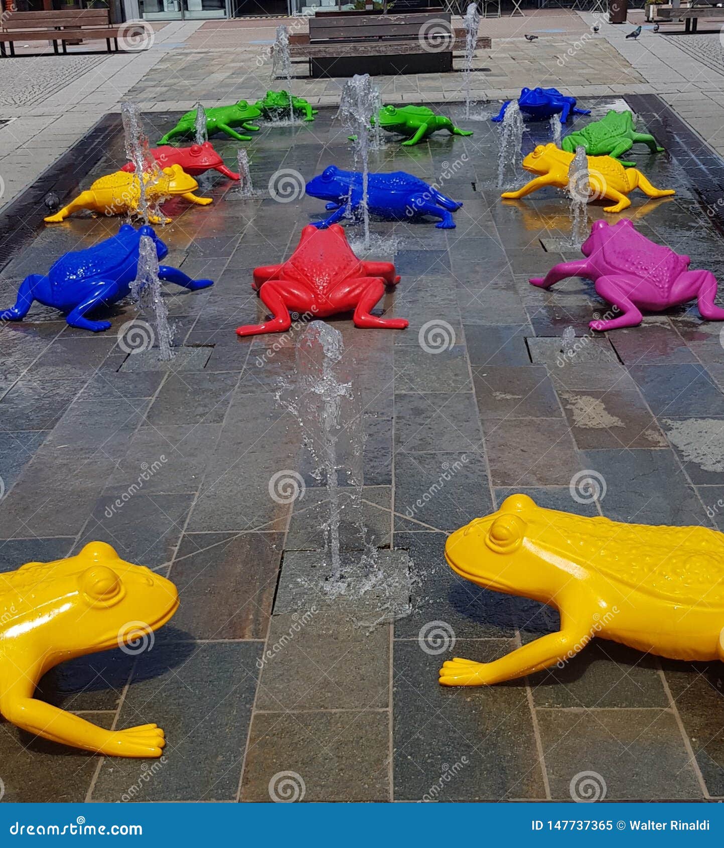 Frog invasion rane stock image. Image of water, invasion - 147737365