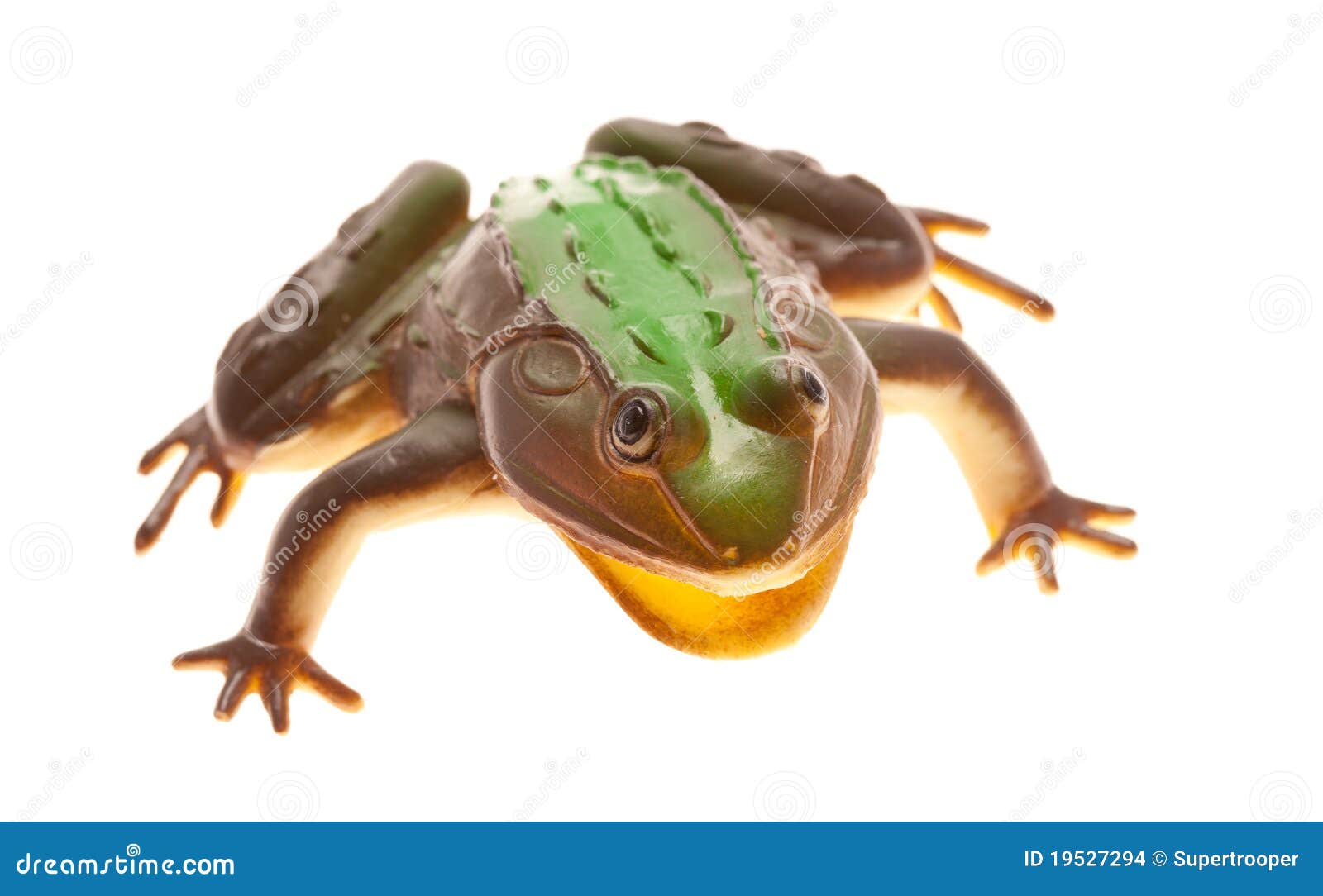 Frog isolated stock photo. Image of isolated, color, hoptoad - 19527294