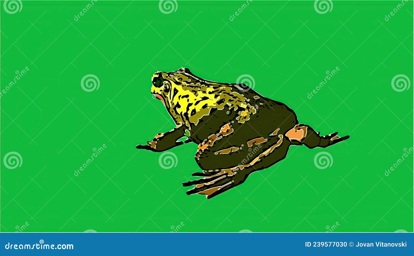 Frog Isolated on Green Screen Stock Illustration - Illustration of ...