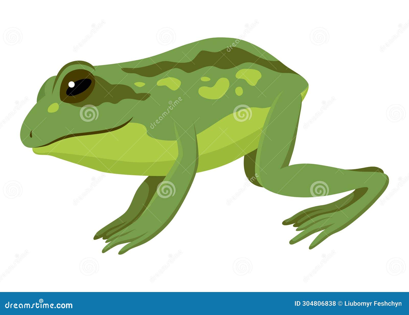 Frog Jumping Animation Icon. Sequences or Footage for Motion Design ...