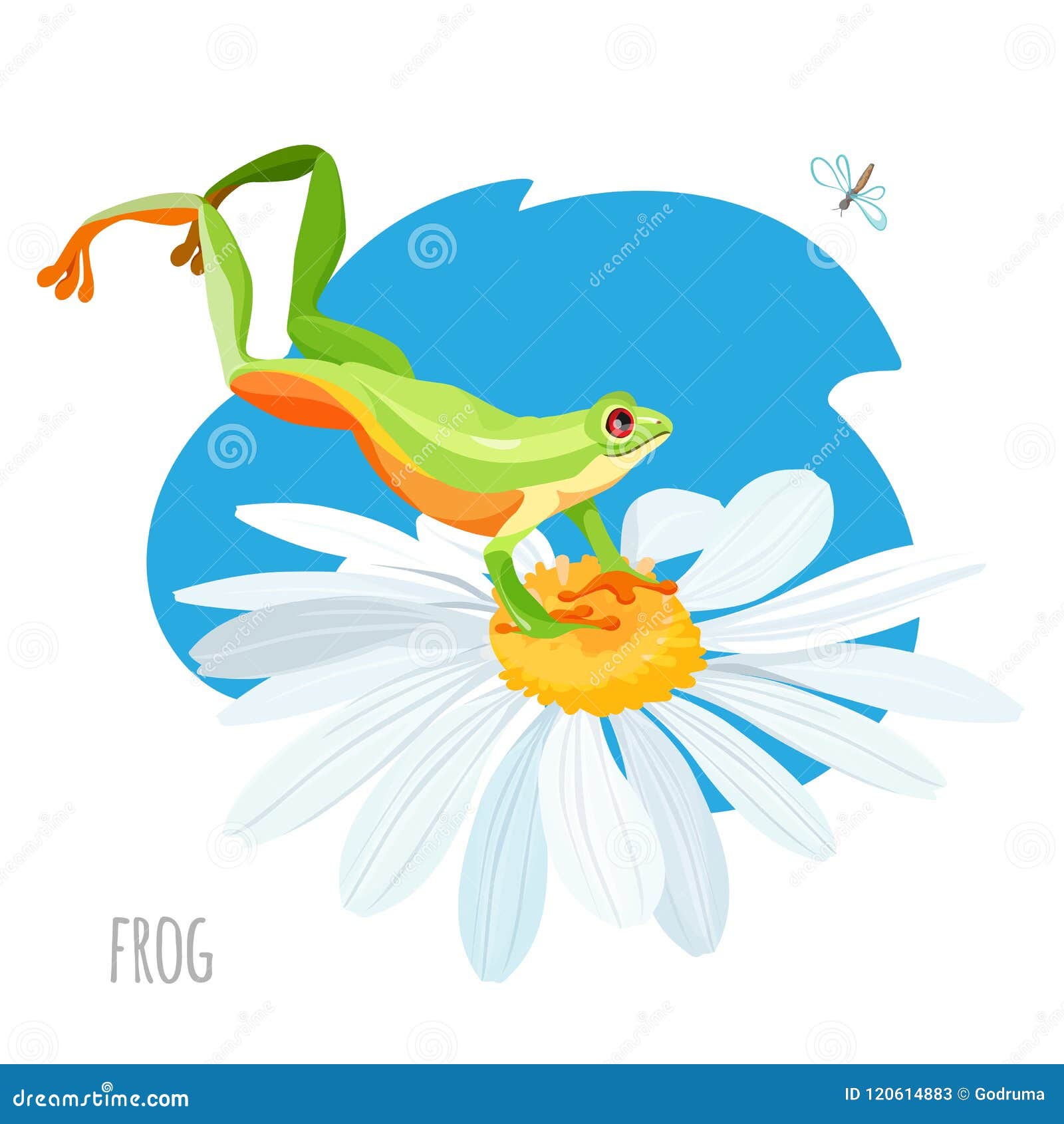 Frog Jumping on Chamomile Flower Vector Sketch Drawing Stock Vector ...