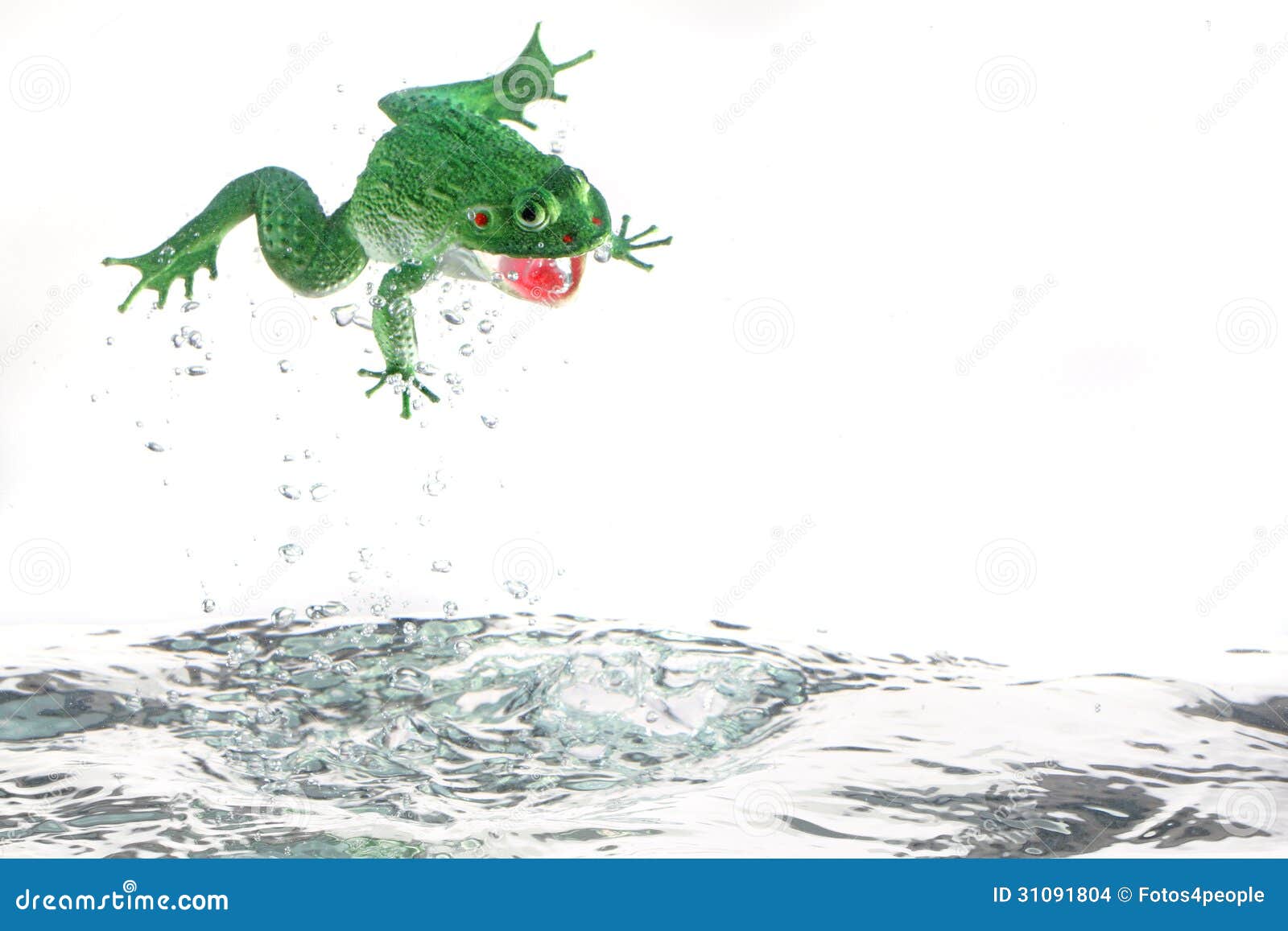 Frog stock photo. Image of overcome, bubbles, starter - 31091804