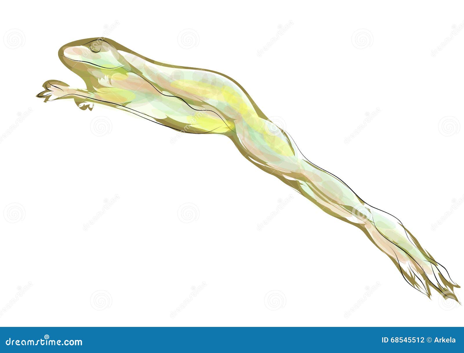 Toad Jumping Drawing