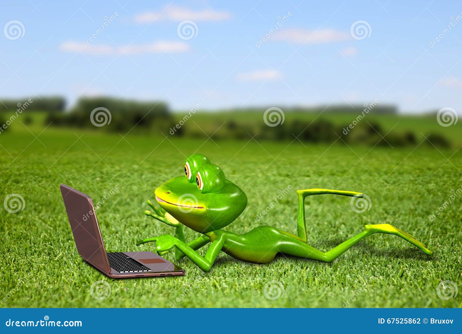 Frog with a Laptop on the Grass Stock Illustration - Illustration of ...