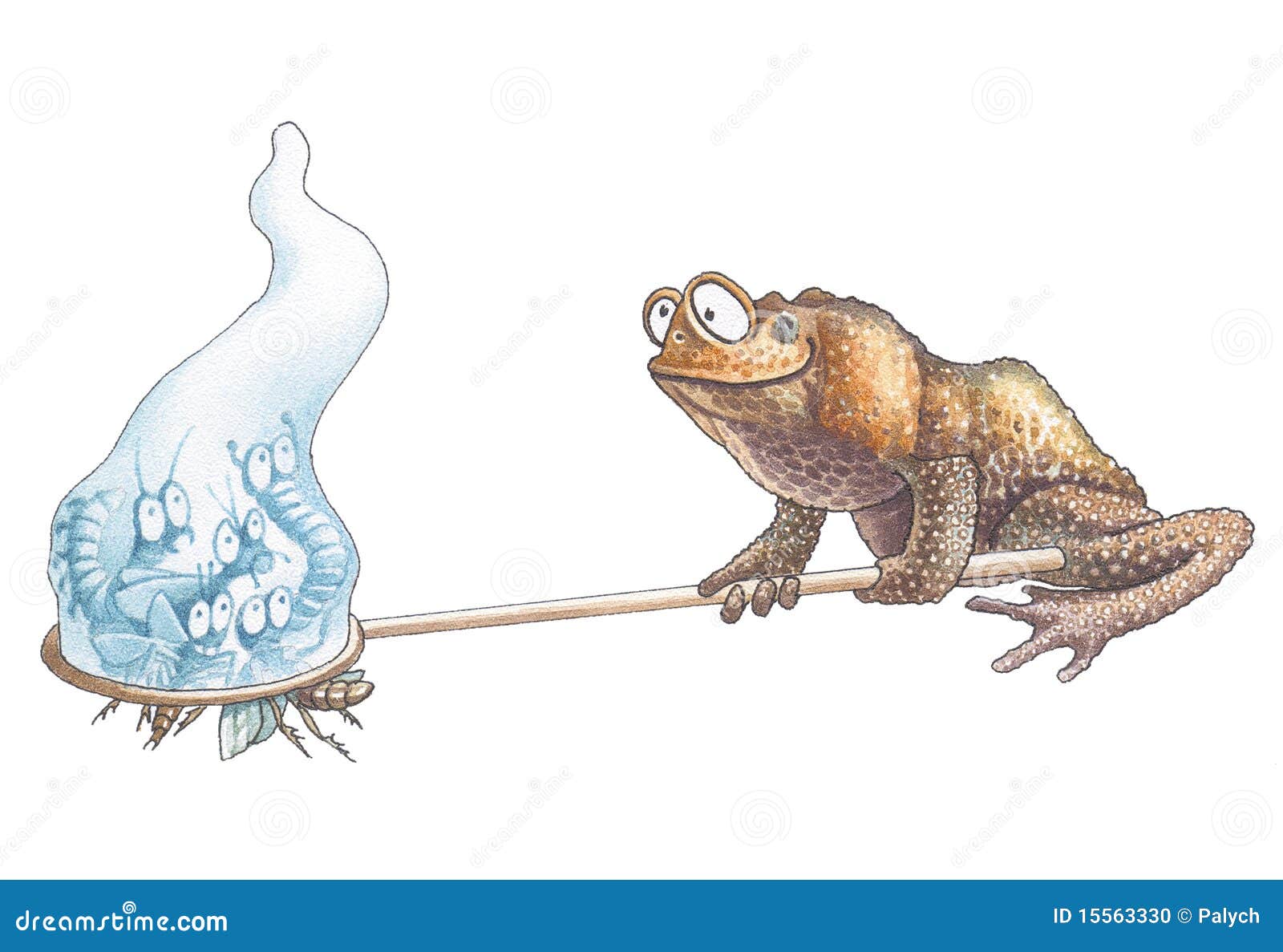 Frog with a net stock illustration. Illustration of amphibian - 15563330