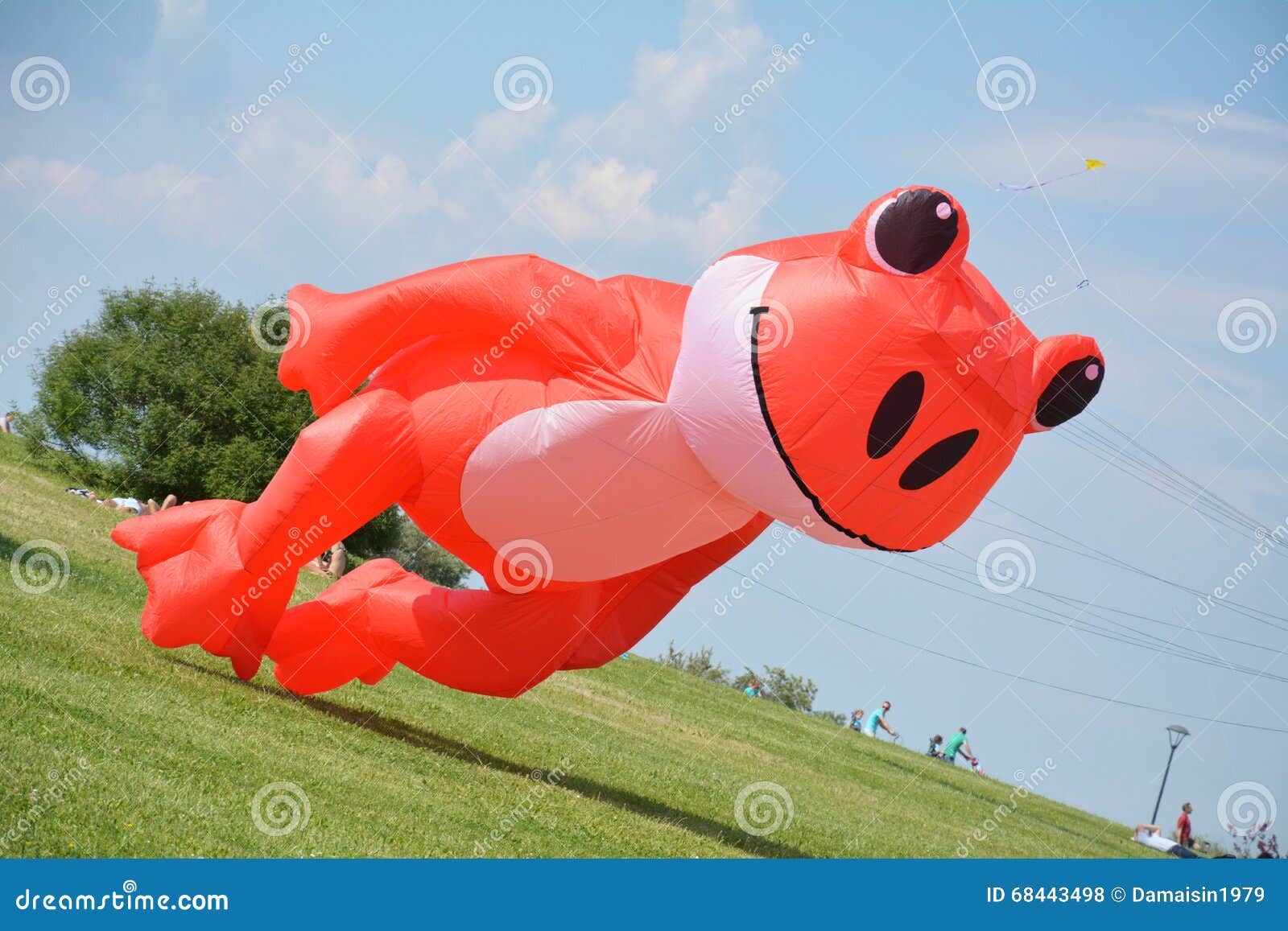 Frog orange kite stock photo. Image of moving, pink, motion - 68443498
