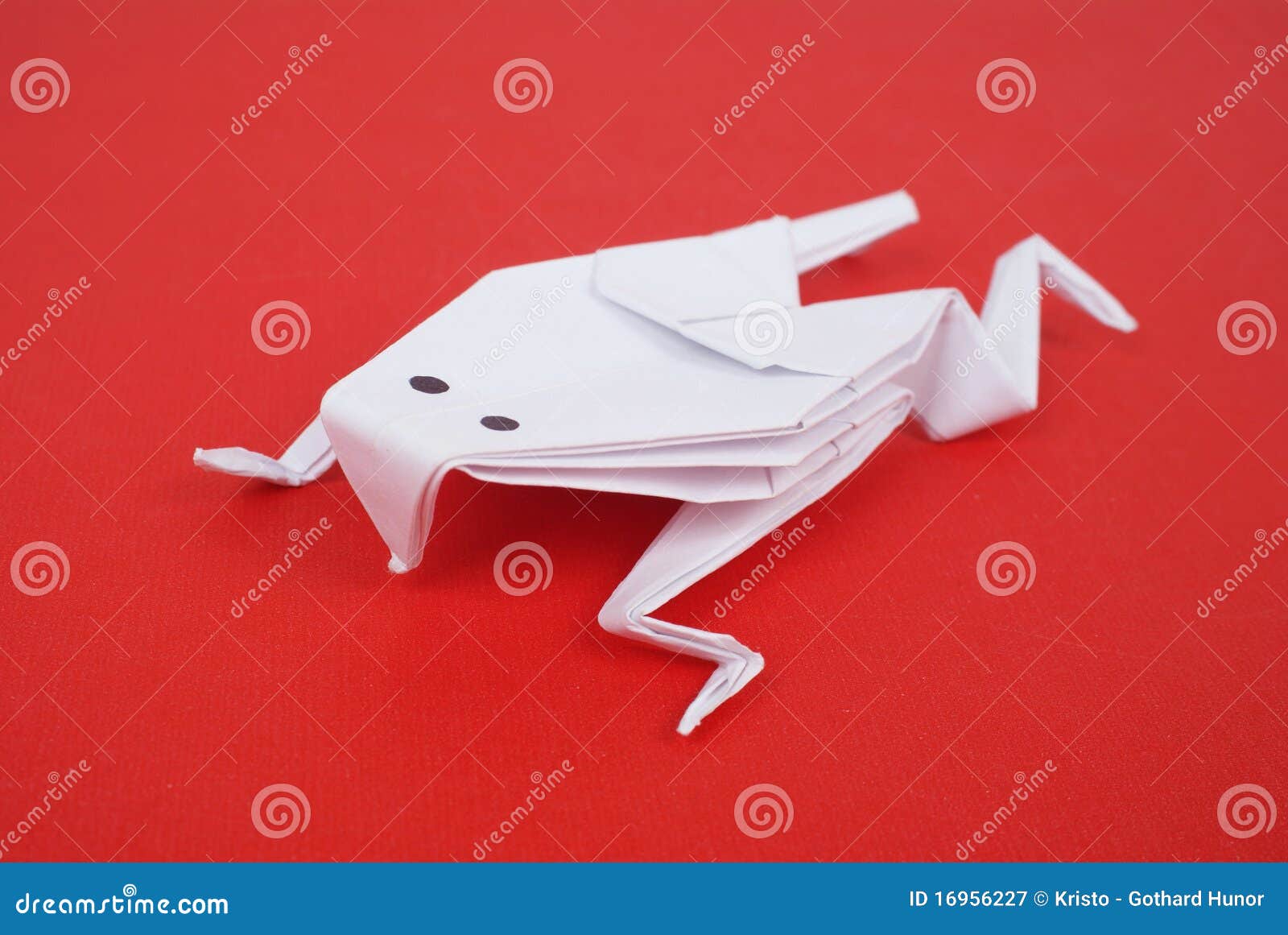 Frog Paper Origami Stock Photography | CartoonDealer.com #268797272