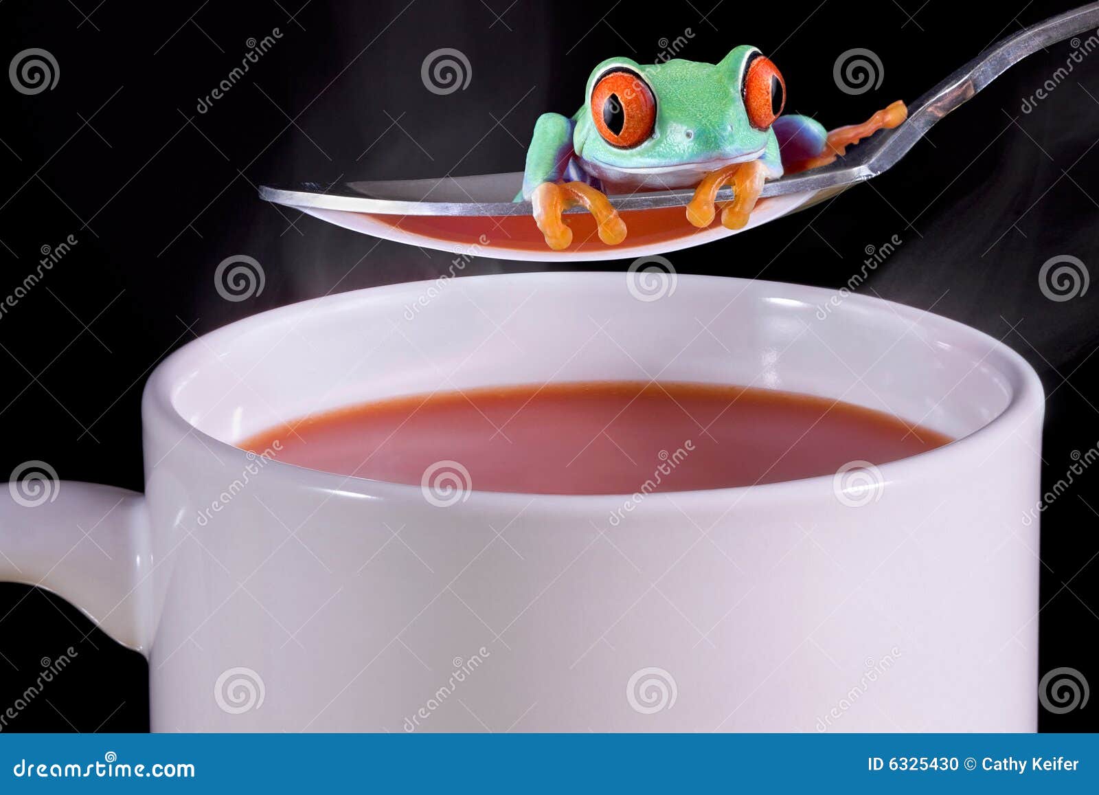 Frog over hot soup stock photo. Image of tree, burning - 6325430