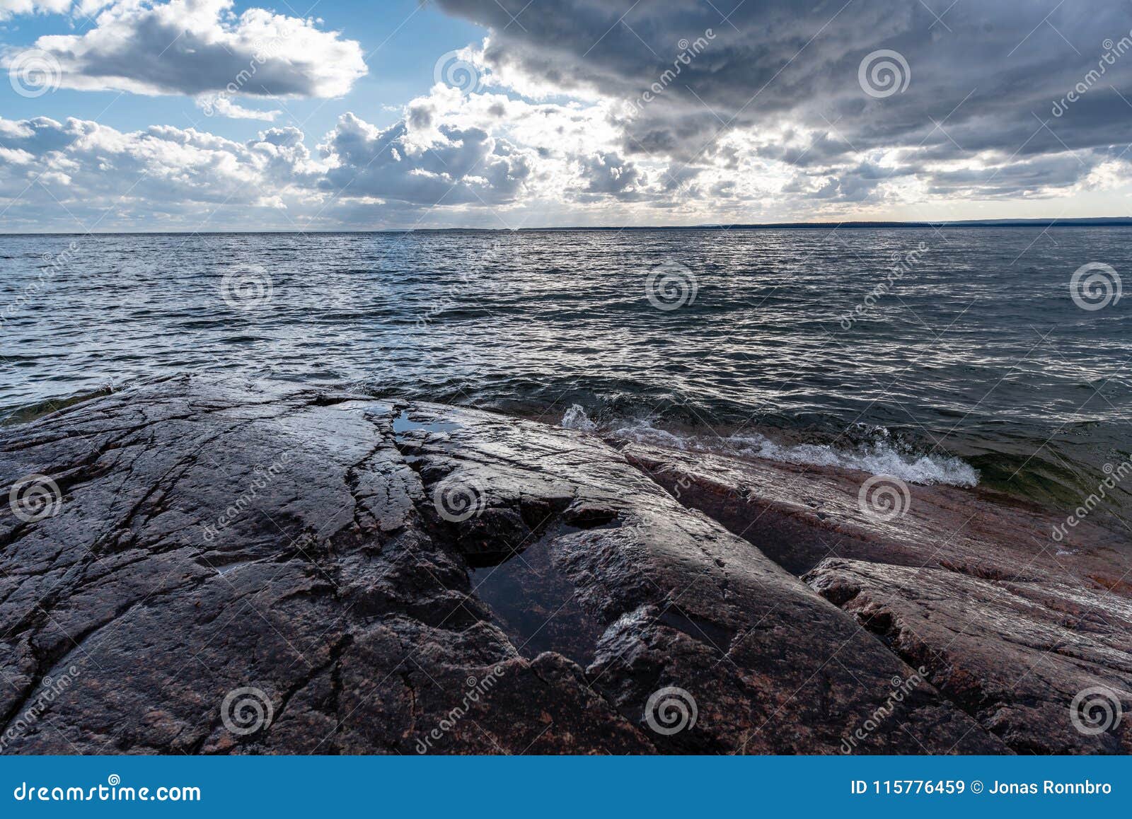 Frog Perspecive Overlooking a Lake and Sky Stock Image - Image of ...