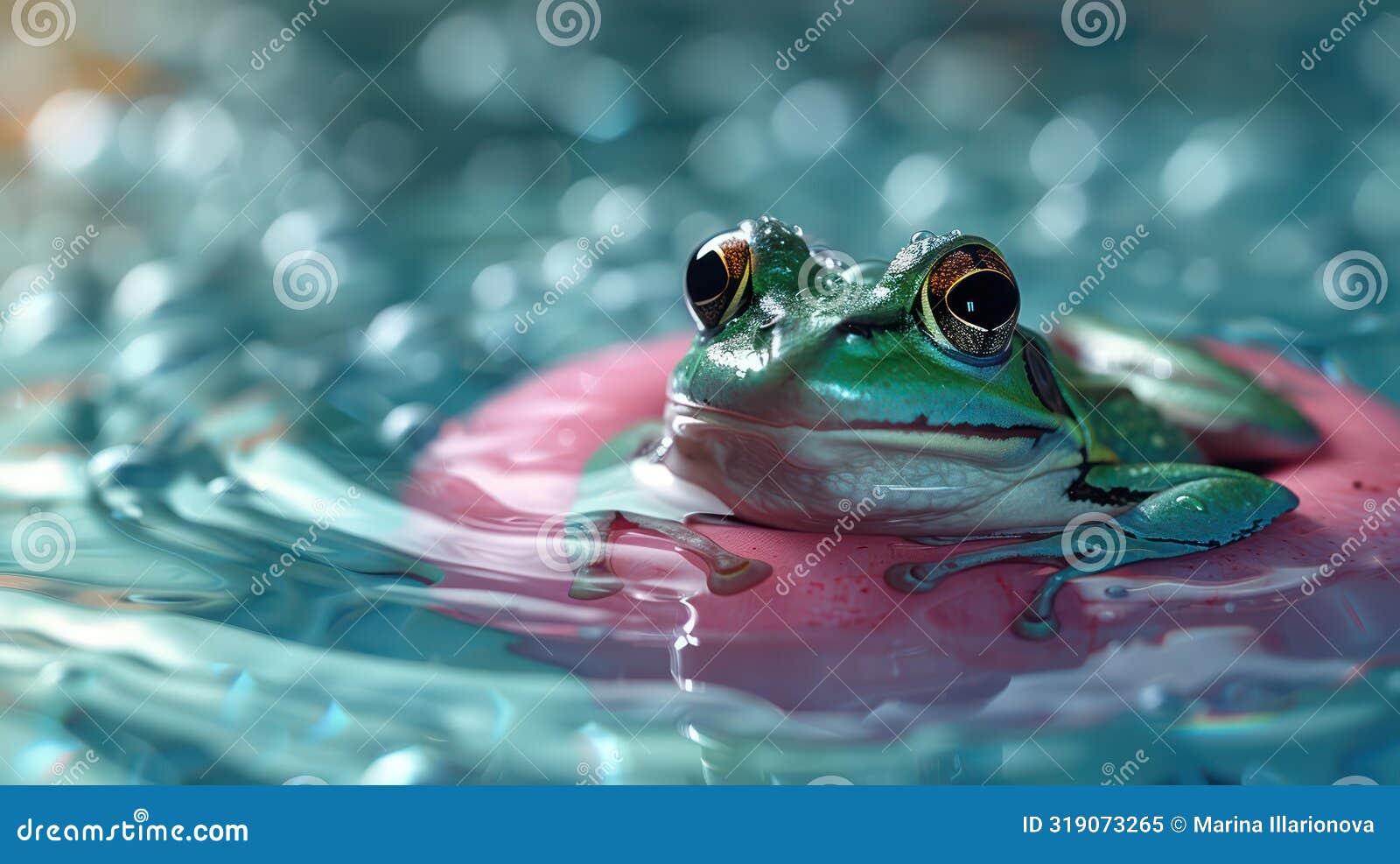 Frog on Pink Swimming Ring Floats in Pool, Summer Time Background ...