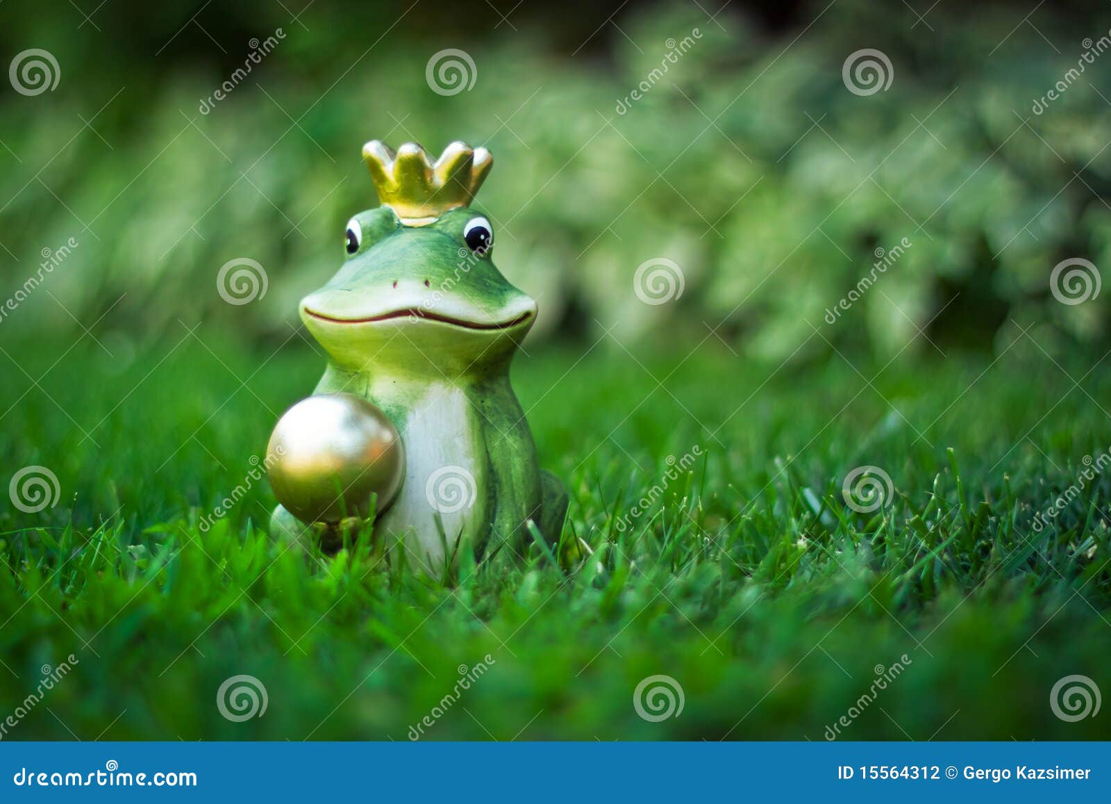 Frog Prince stock photo. Image of garden, grimm, ball - 15564312