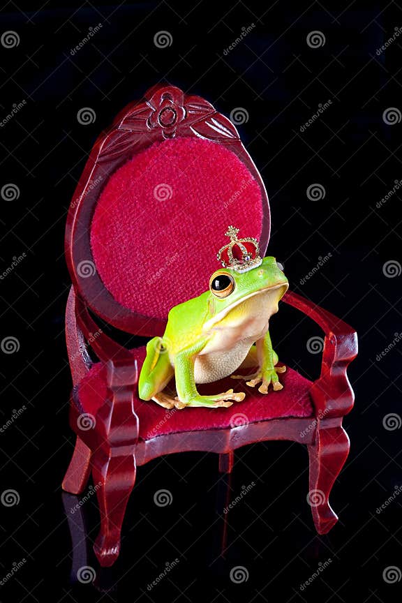 Frog prince on throne stock photo. Image of amphibians - 11964962