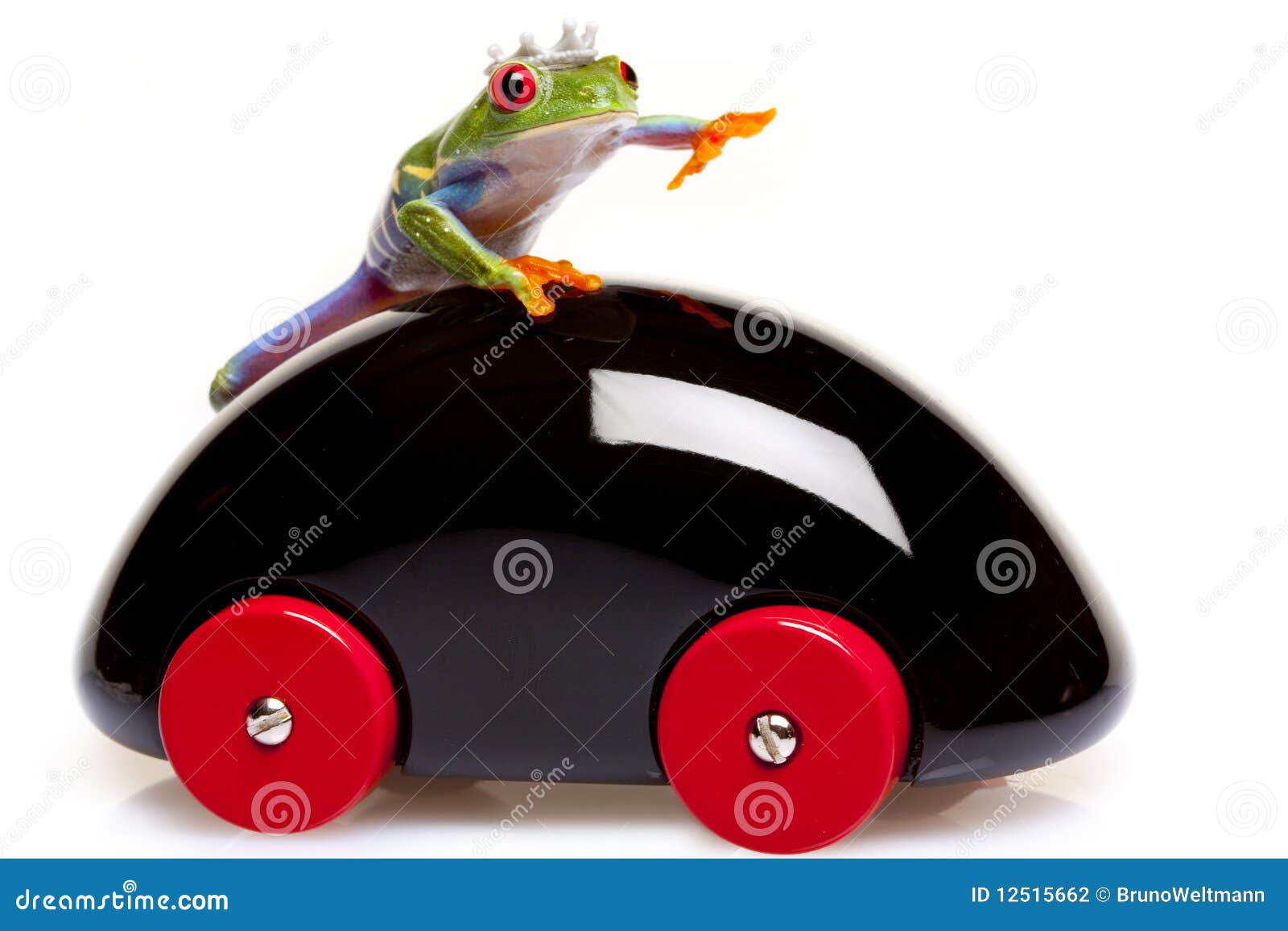 Frog Prince and Toy stock photo. Image of amphibia, eyes - 12515662
