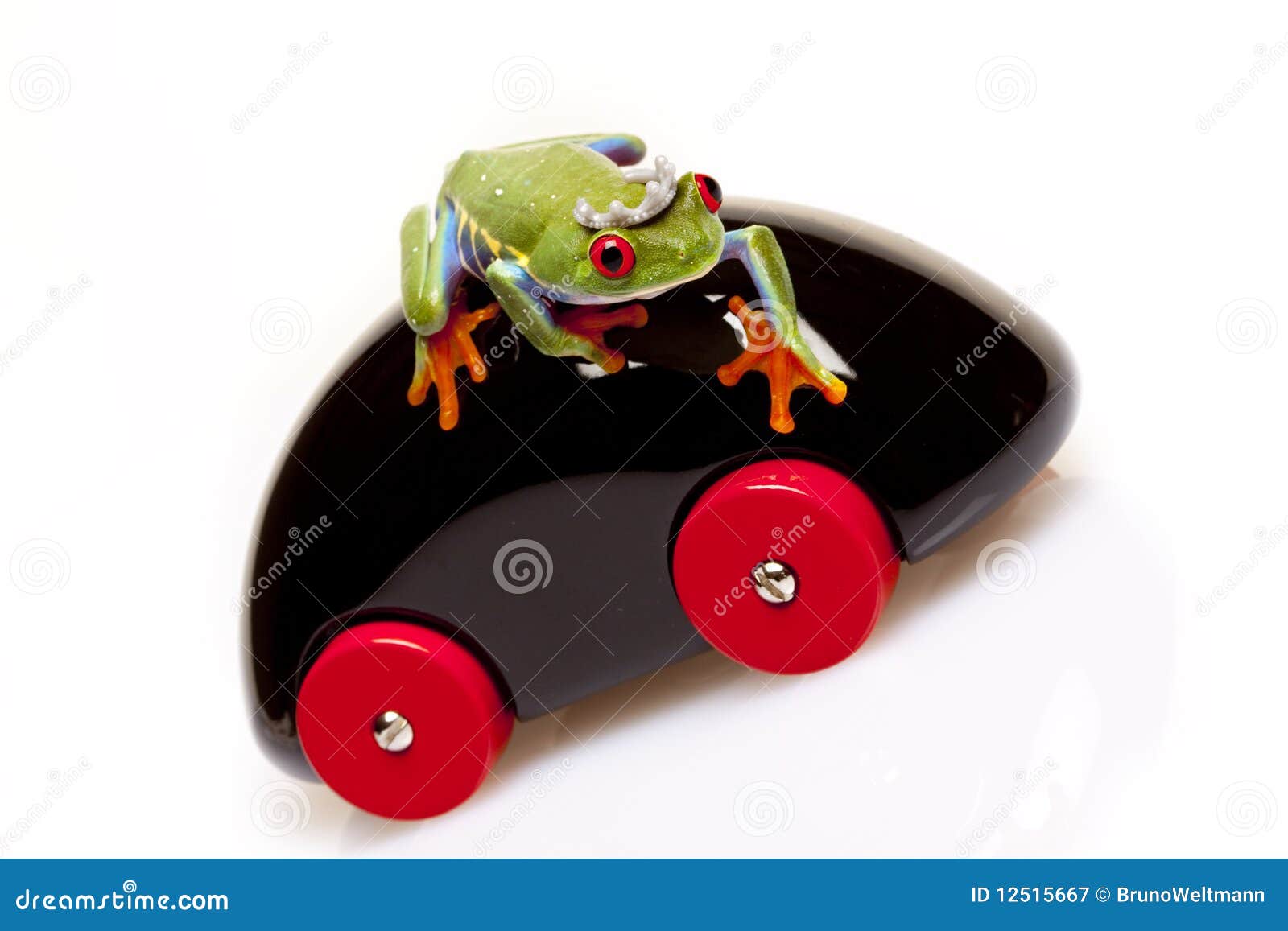 Frog Prince and Toy stock image. Image of fauna, abstraction - 12515667