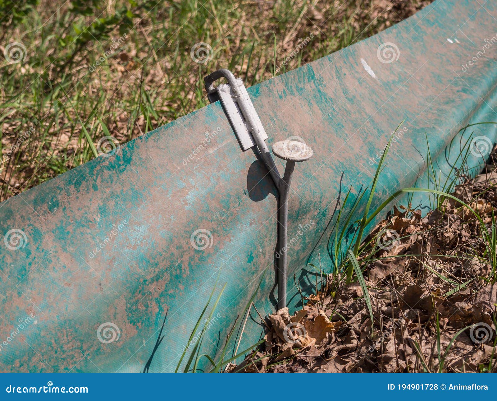 Frog protection fence stock photo. Image of outdoor - 194901728