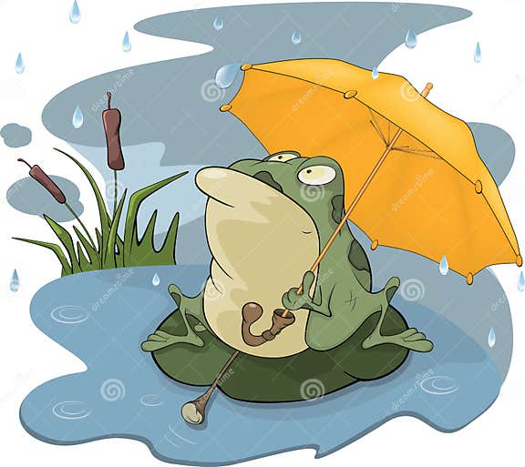 Frog and a rain cartoon stock vector. Illustration of nasty - 29342252