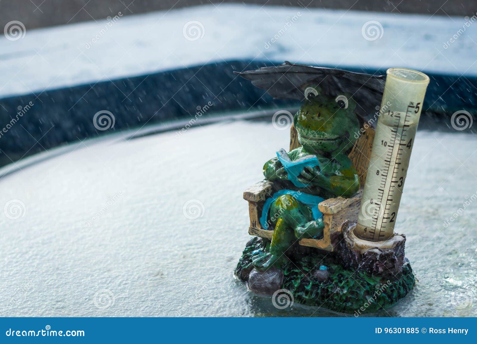 Frog. Rain. Summer Rain In The Garden.The Frog Is Sitting. Royalty-Free ...