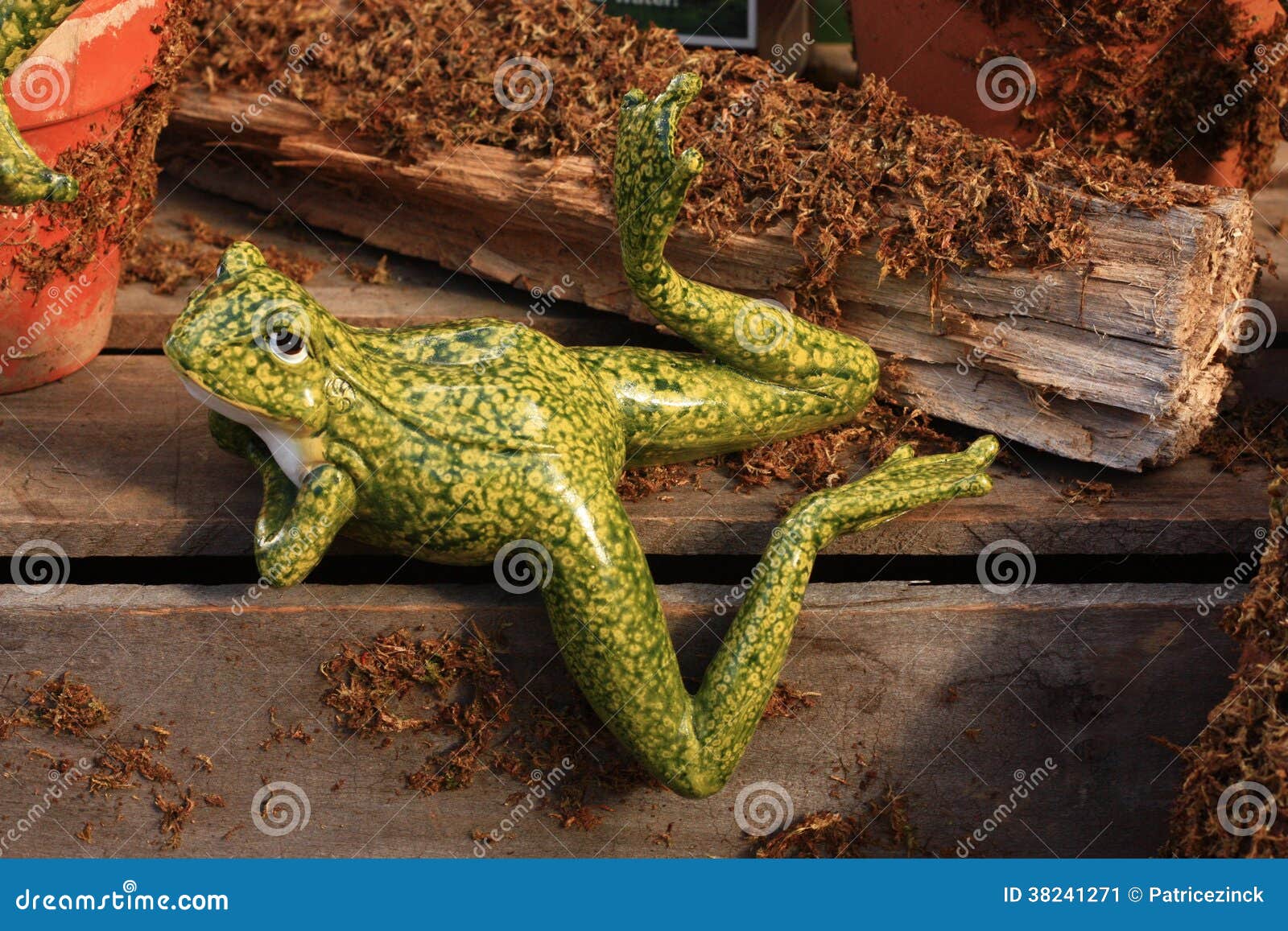 Lazy Frog Royalty-Free Stock Photo | CartoonDealer.com #45792345