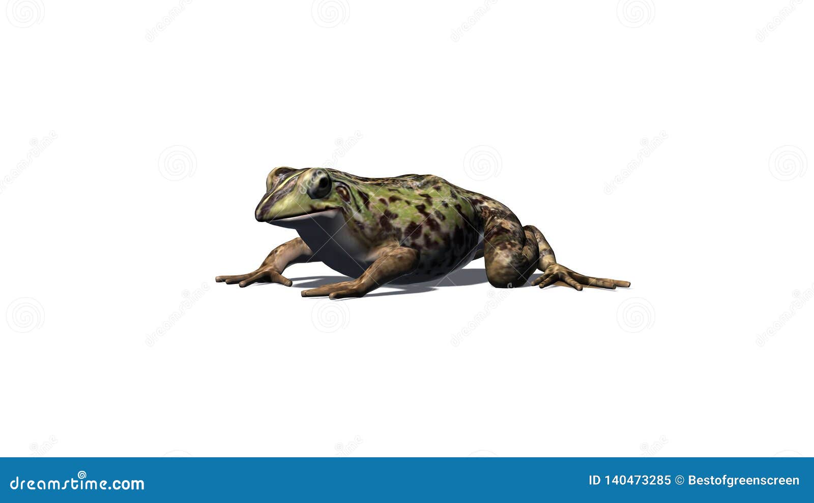 Frog Seated - Left Side View Stock Illustration - Illustration of right ...
