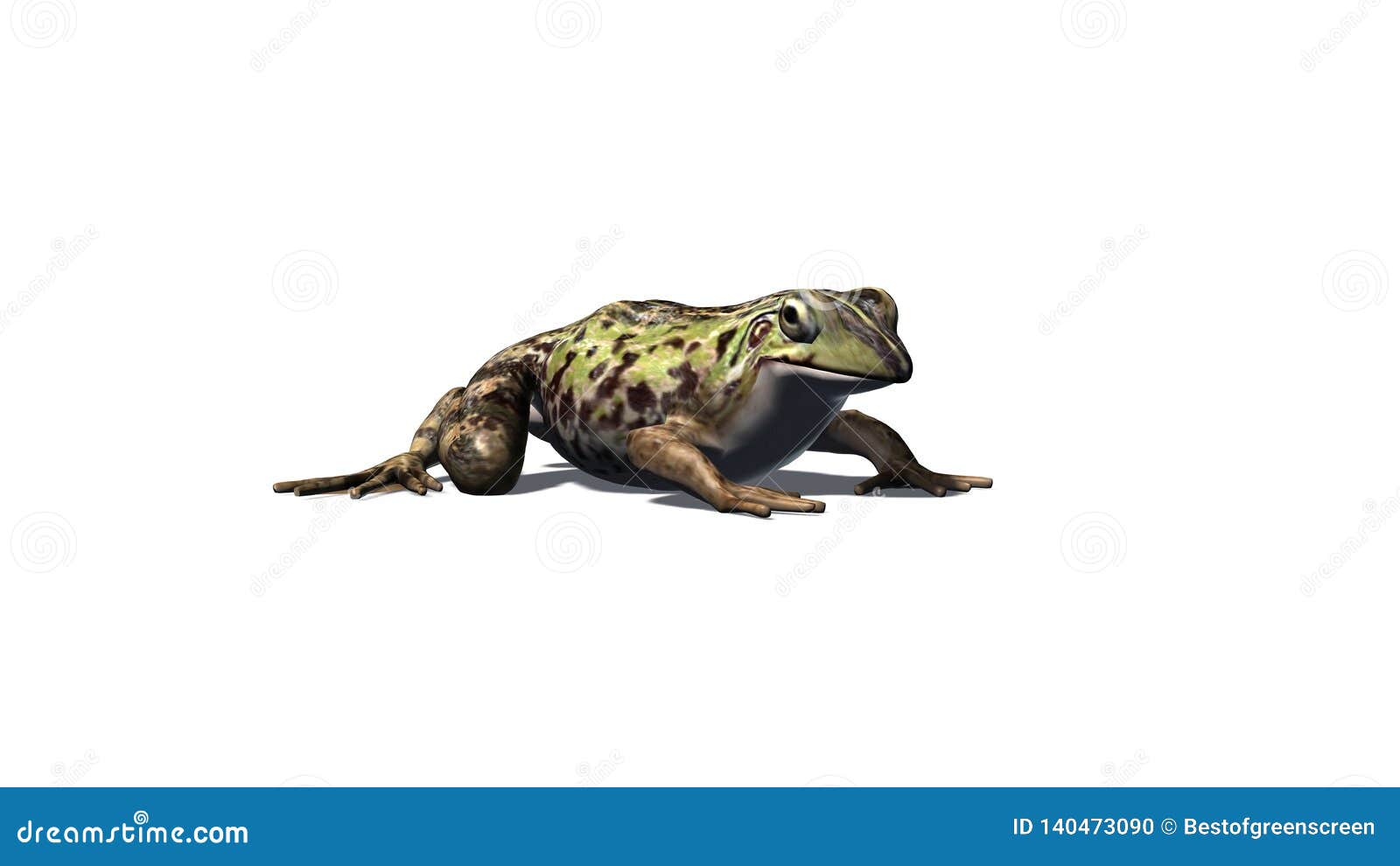 Frog Seated - Right Side View Stock Illustration - Illustration of ...