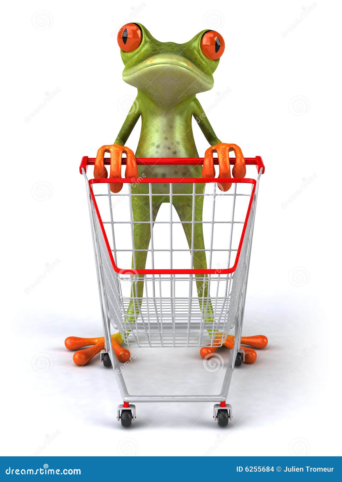 Frog shopping stock illustration. Illustration of tropics - 6255684