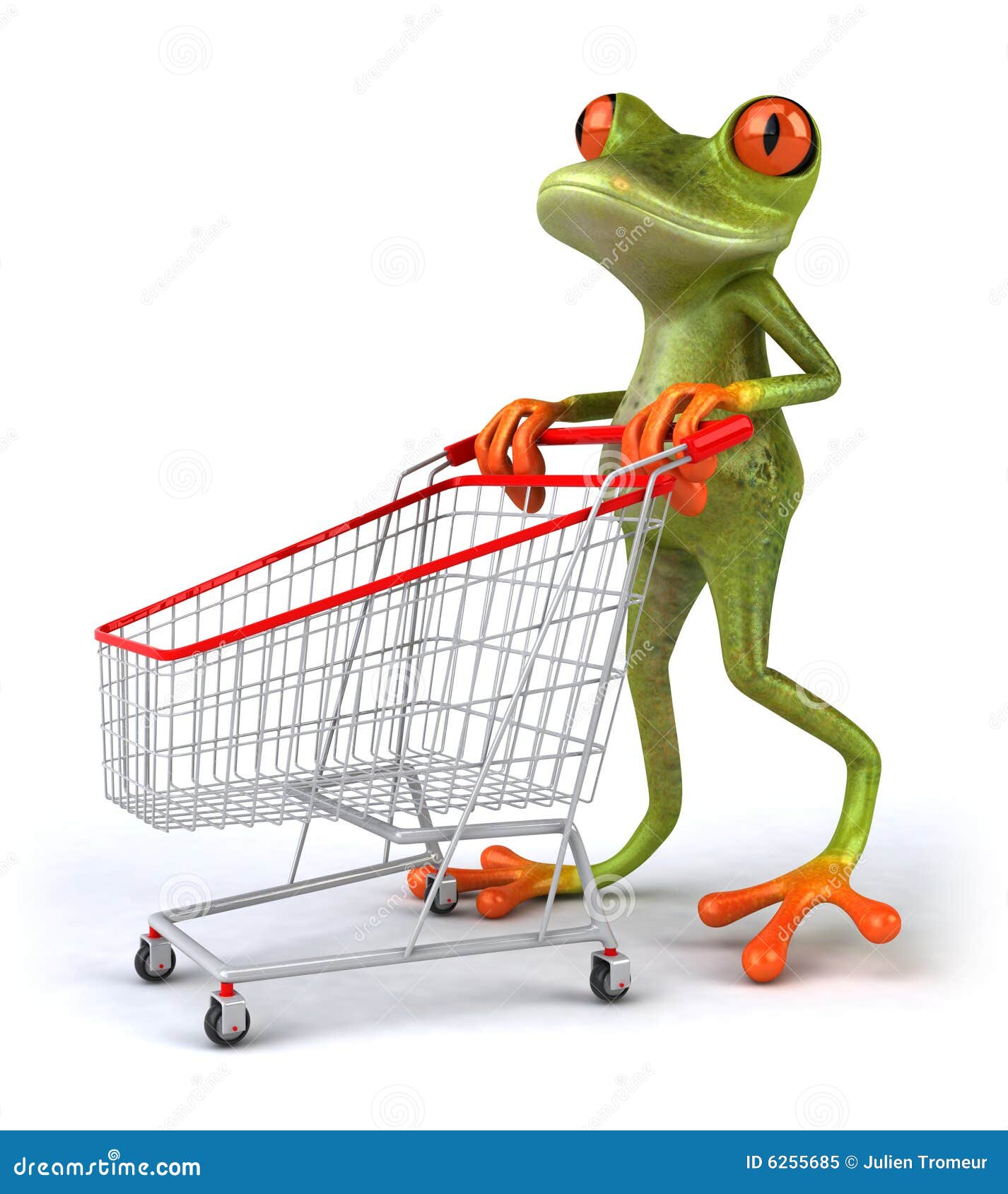 Frog shopping stock illustration. Illustration of cart - 6255685
