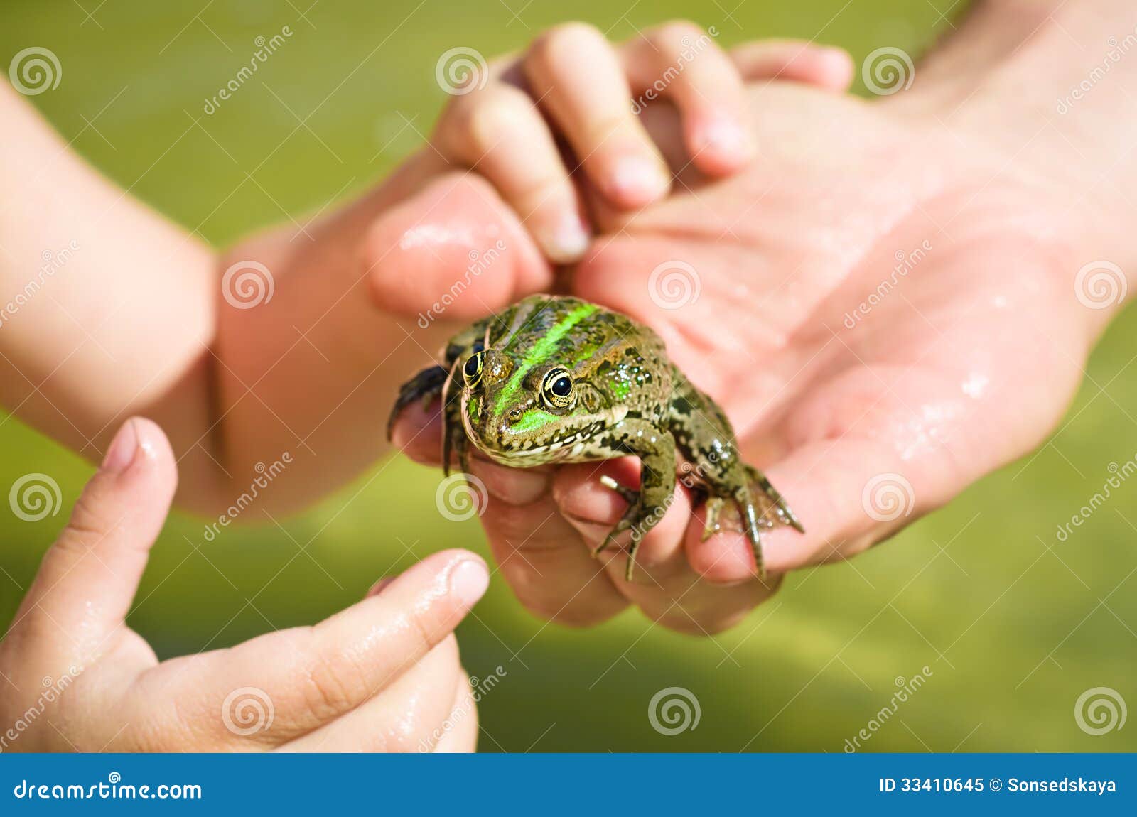 Frog In Hand Sculpture Royalty-Free Stock Image | CartoonDealer.com ...