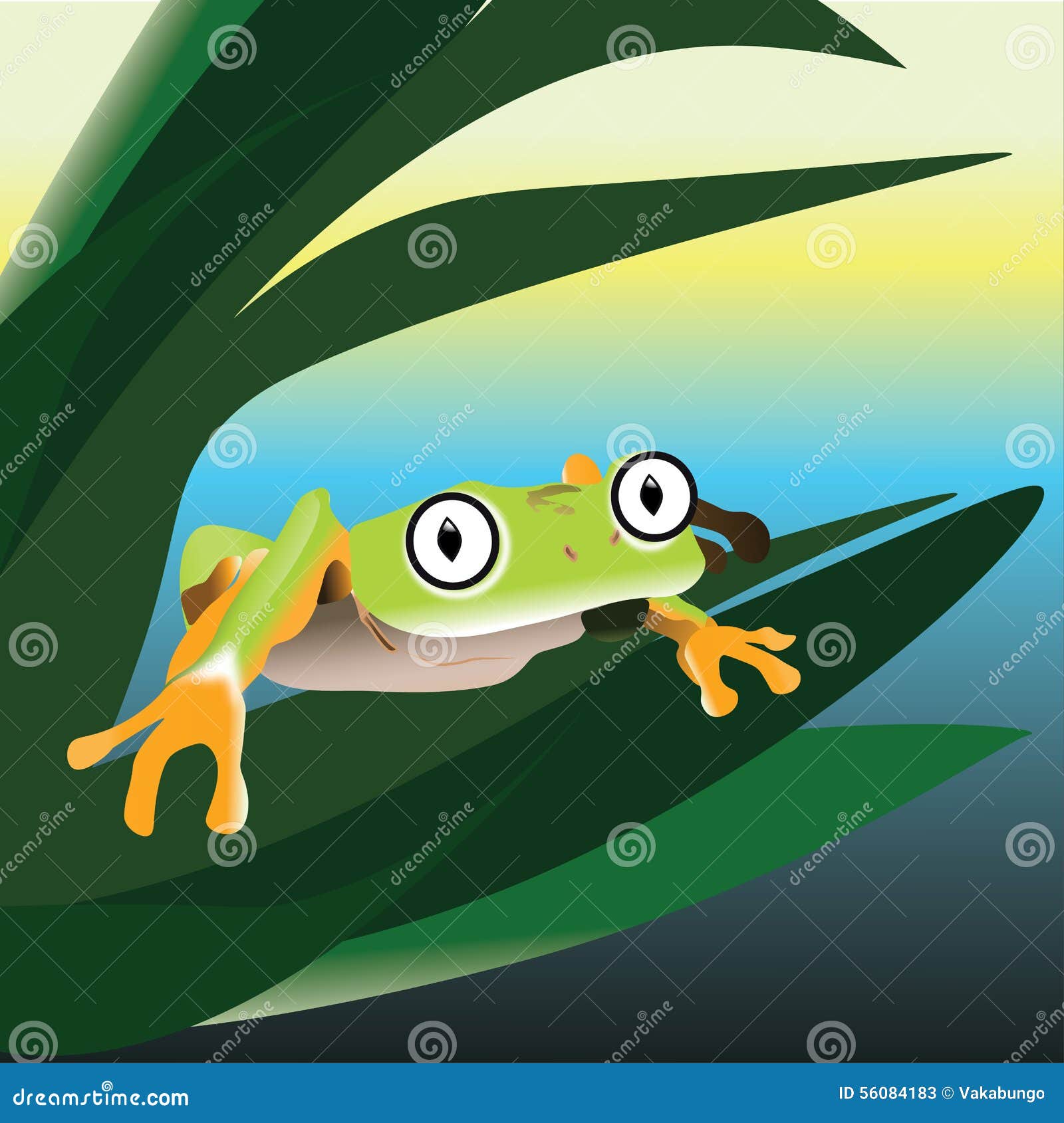 Swamp Frog Cartoon Stock Photo | CartoonDealer.com #77686206