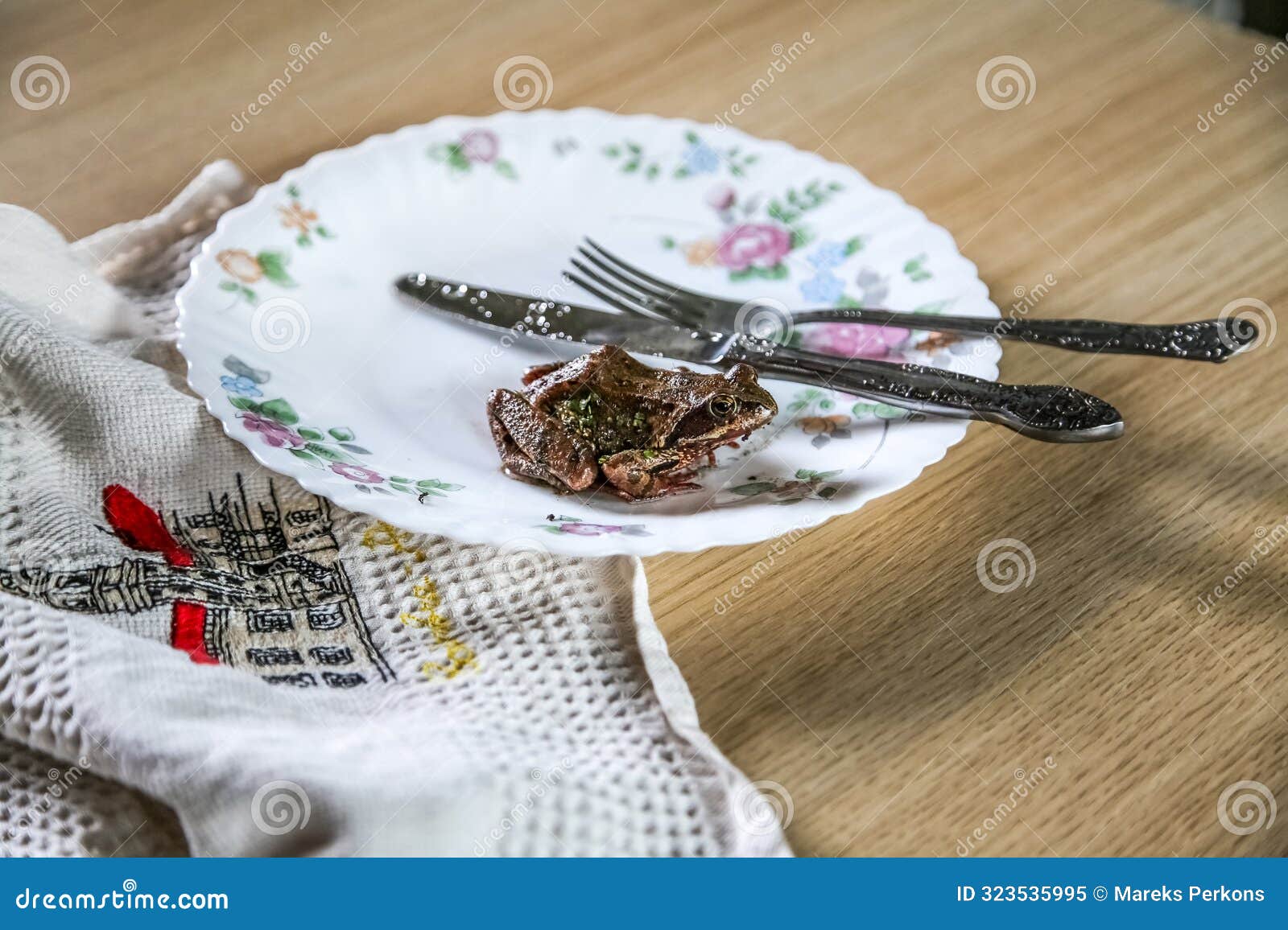 Frog Sitting on the Plate with Silver Fork and Knife Stock Image ...