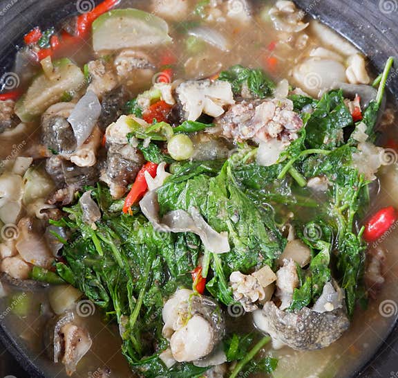 Frog soup stock image. Image of juicy, color, carrots - 94055549