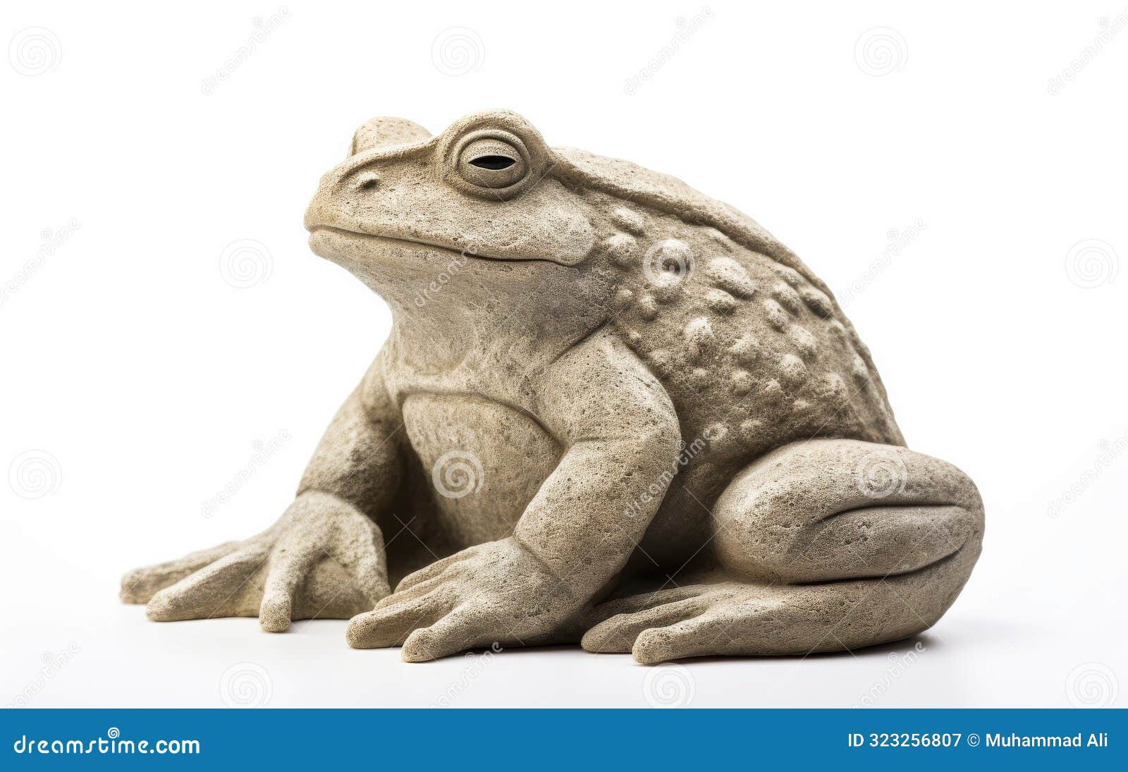 Two Statue Frog Sits On Coins, FengShui Talisman Vector Illustration ...