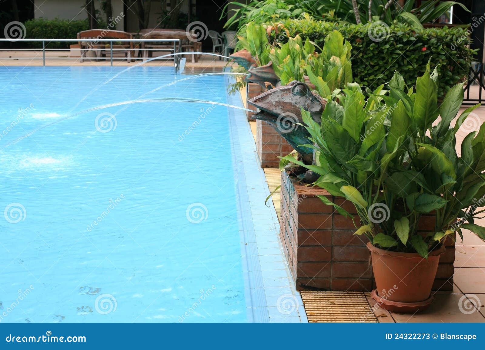 Frog Statues Spraying Water into Swimming Pool Stock Image - Image of ...