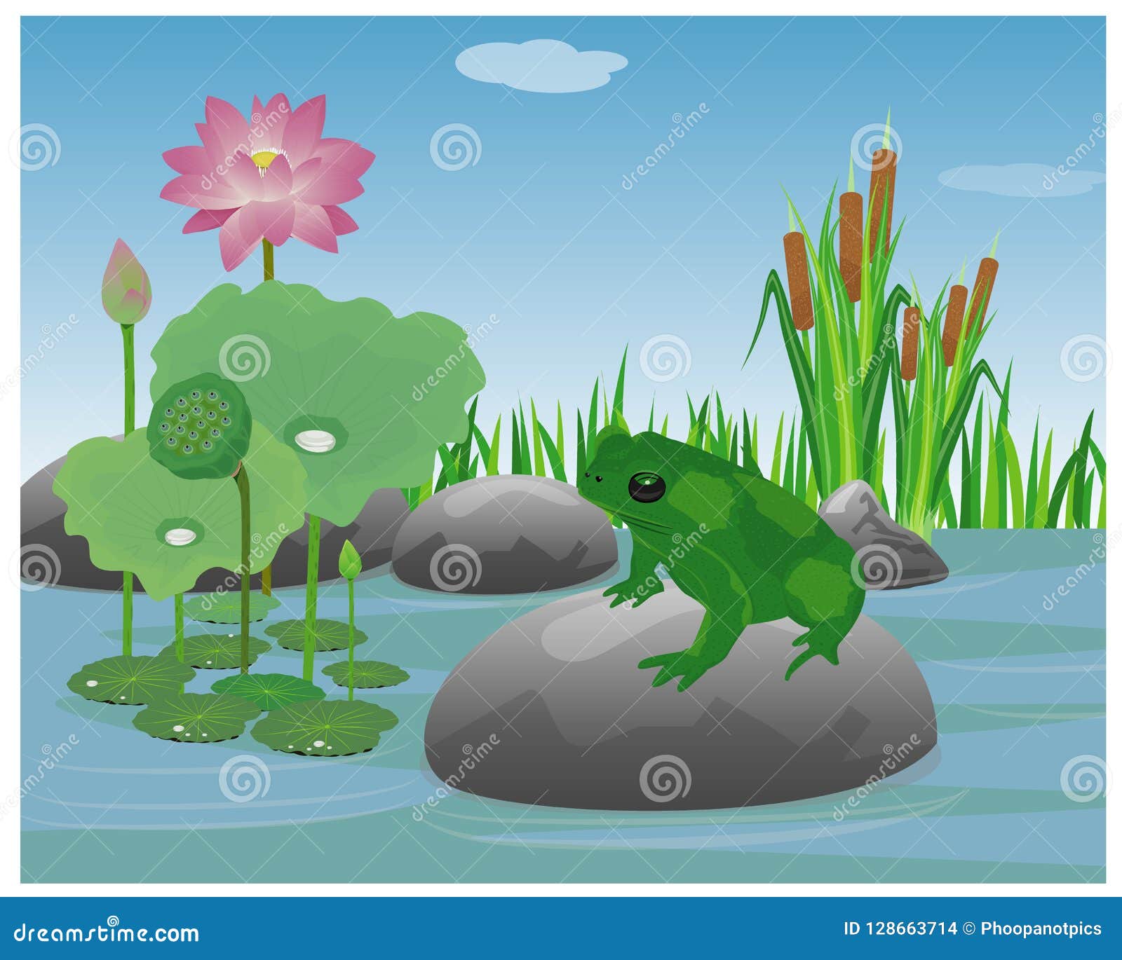 Frog on stone stock vector. Illustration of flower, weed - 128663714