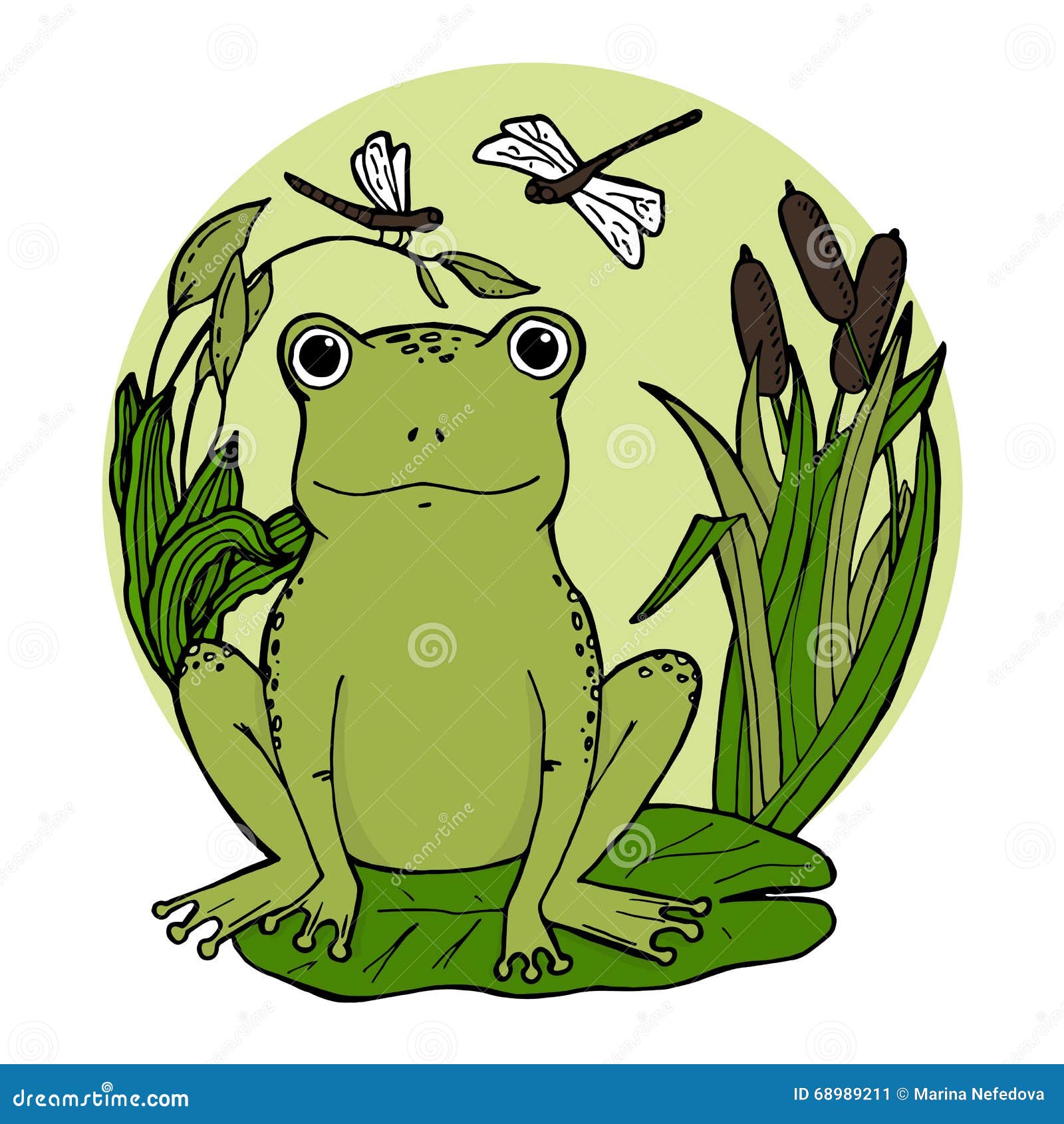 Frog in Swamp at Lily Leaf in Canes with Dragonflies. Stock ...