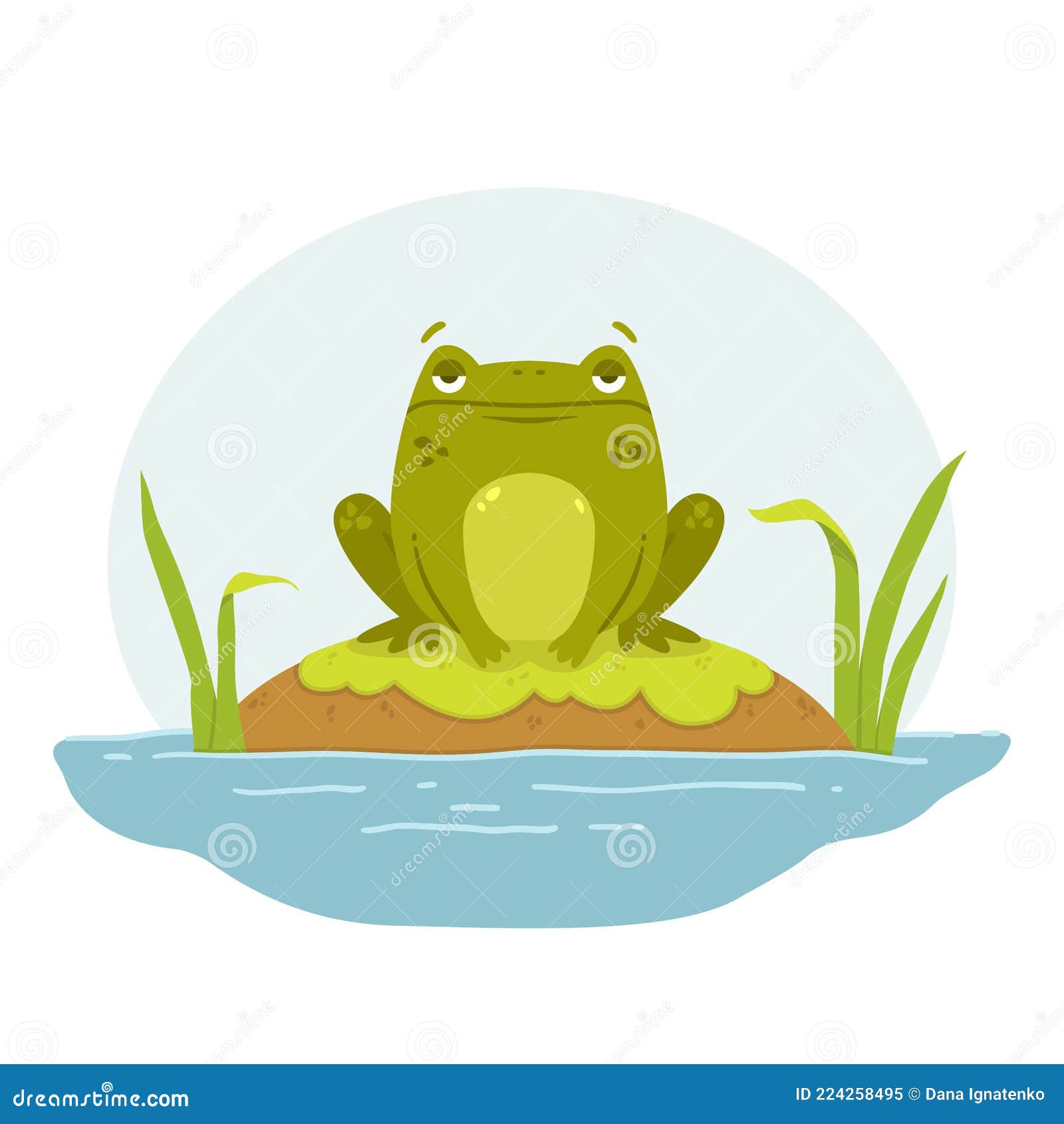 Frog In Swamp At Lily Leaf In Canes With Dragonflies. Royalty-Free ...