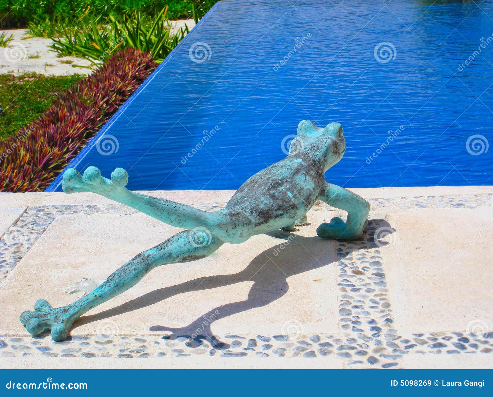 Frog Taking the Plunge stock image. Image of leisure, aqua - 5098269