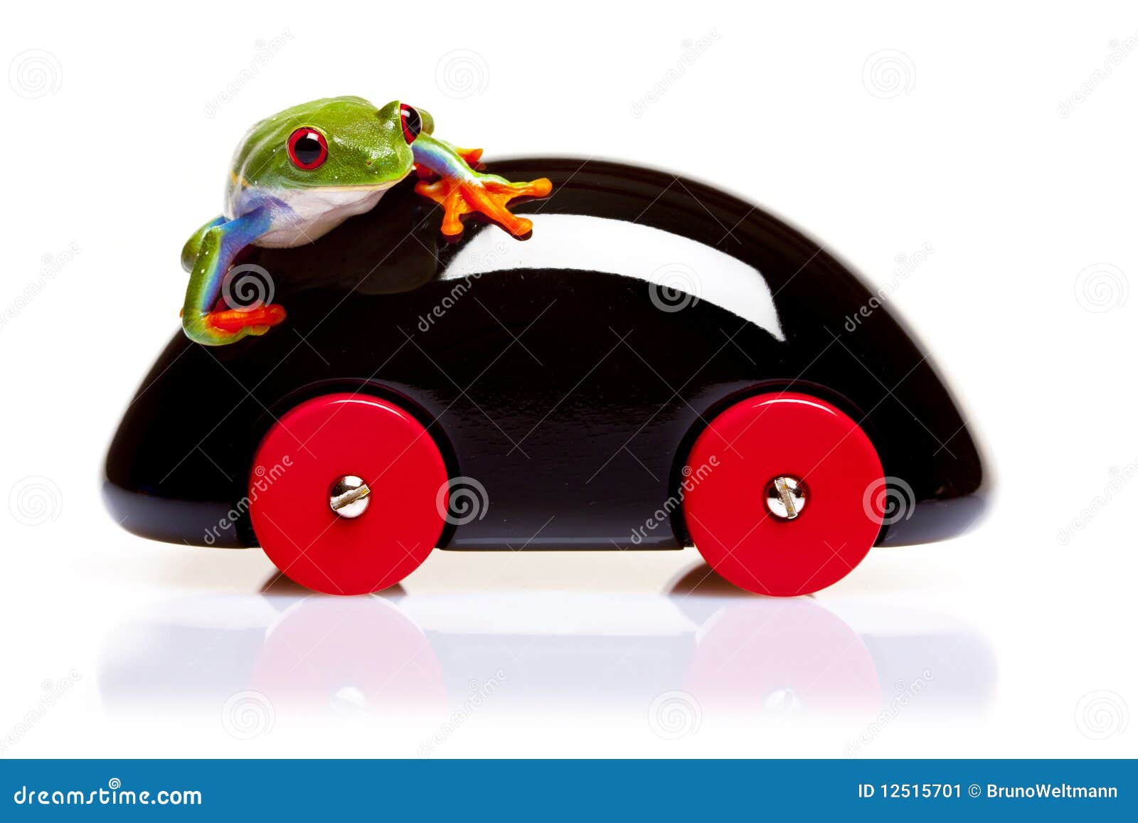 Frog and Toy stock image. Image of abstraction, callidryas - 12515701