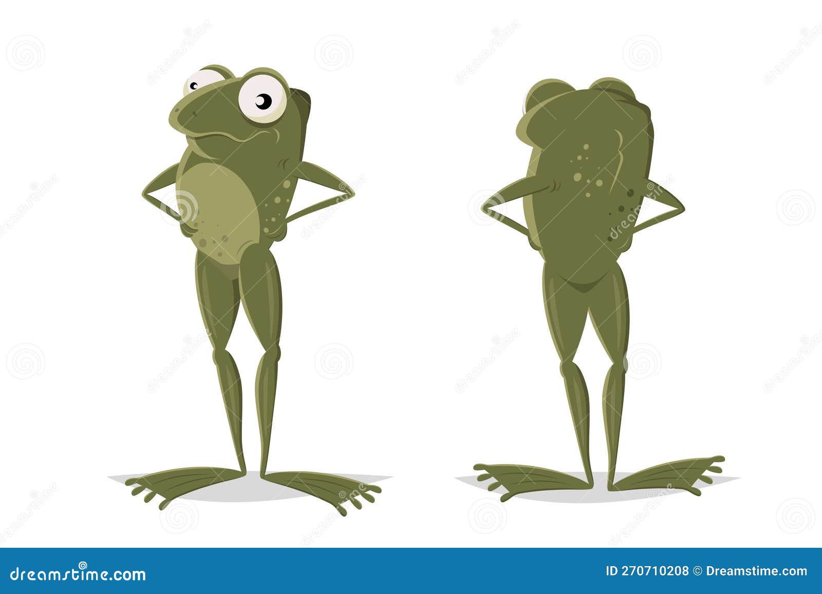 Frog In Front Of A Dumbbell Lifts Royalty-Free Stock Image ...